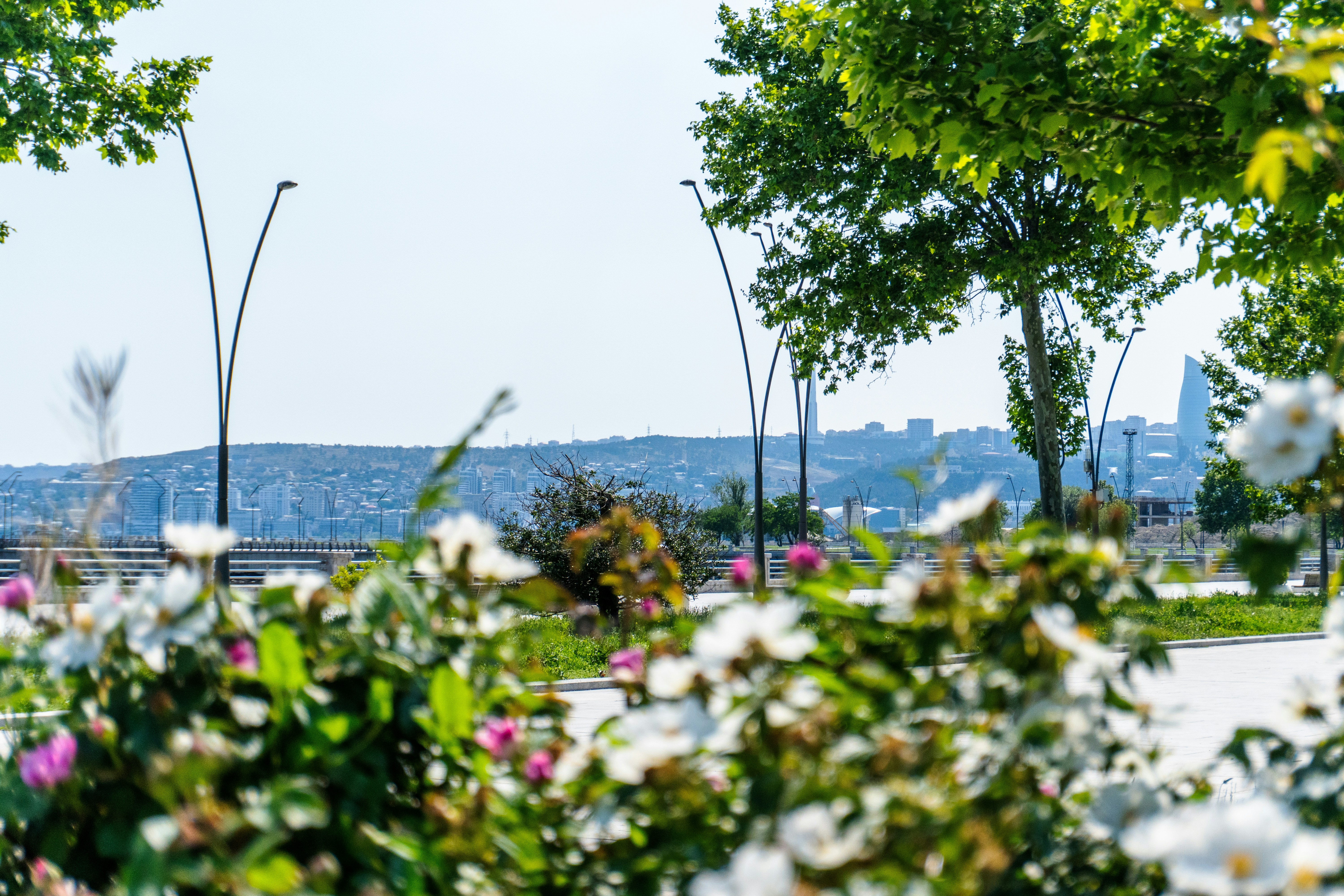 Urban Garden Fragments: Bloom in the Park by the River