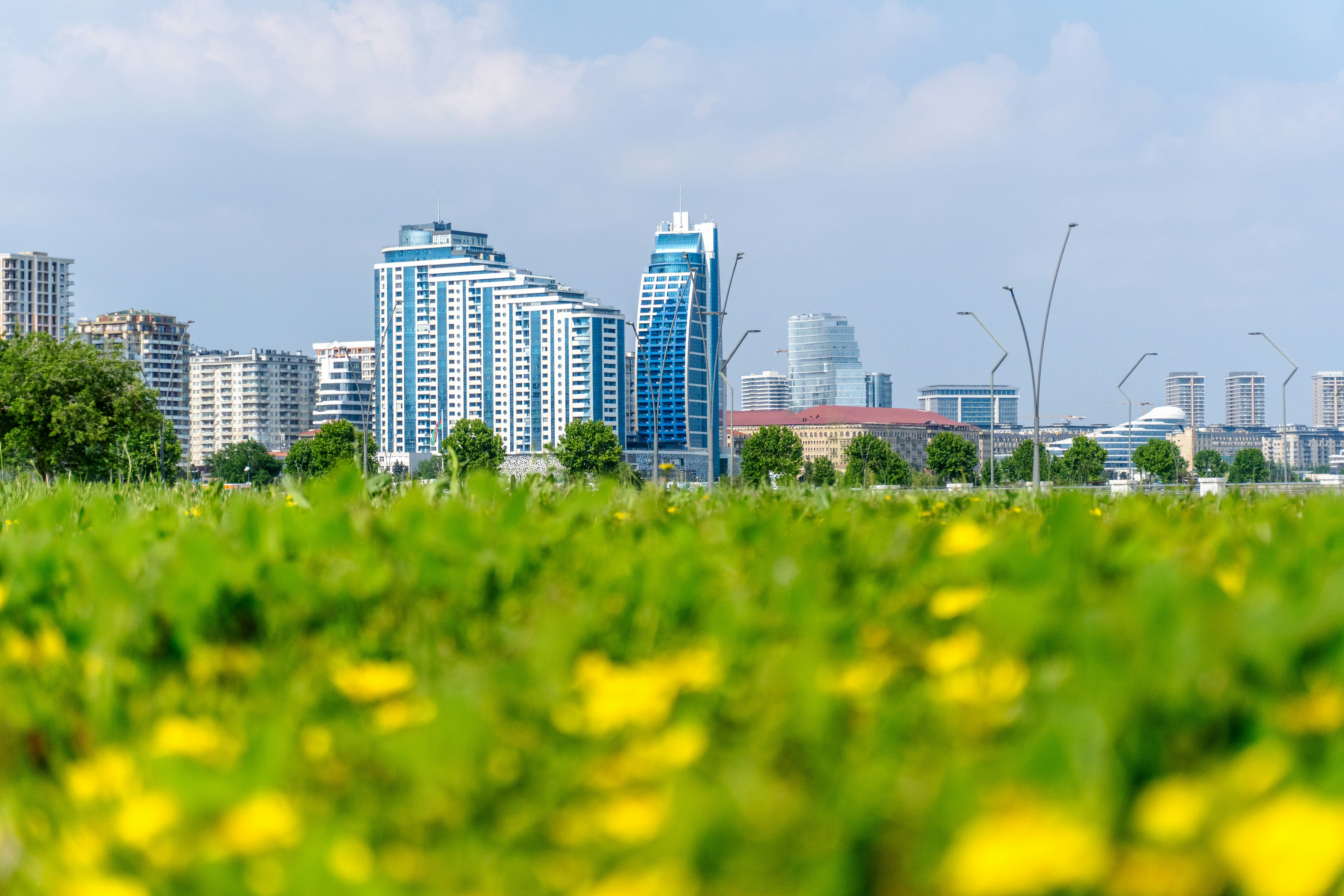 Urban Horizon: Glass Towers Rising Beyond a Field of Gold