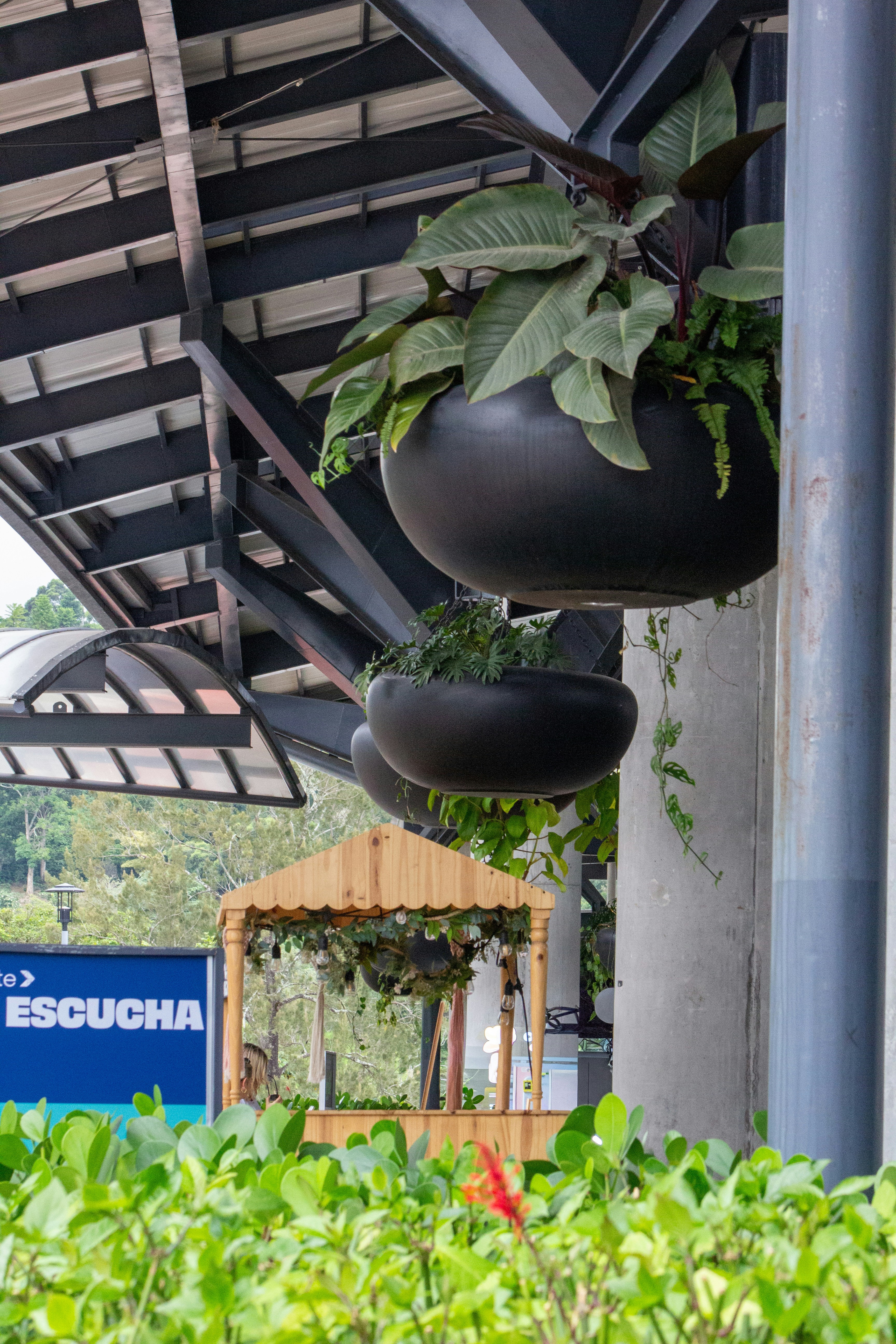 Hanging Plants over an Open-Air Walkway