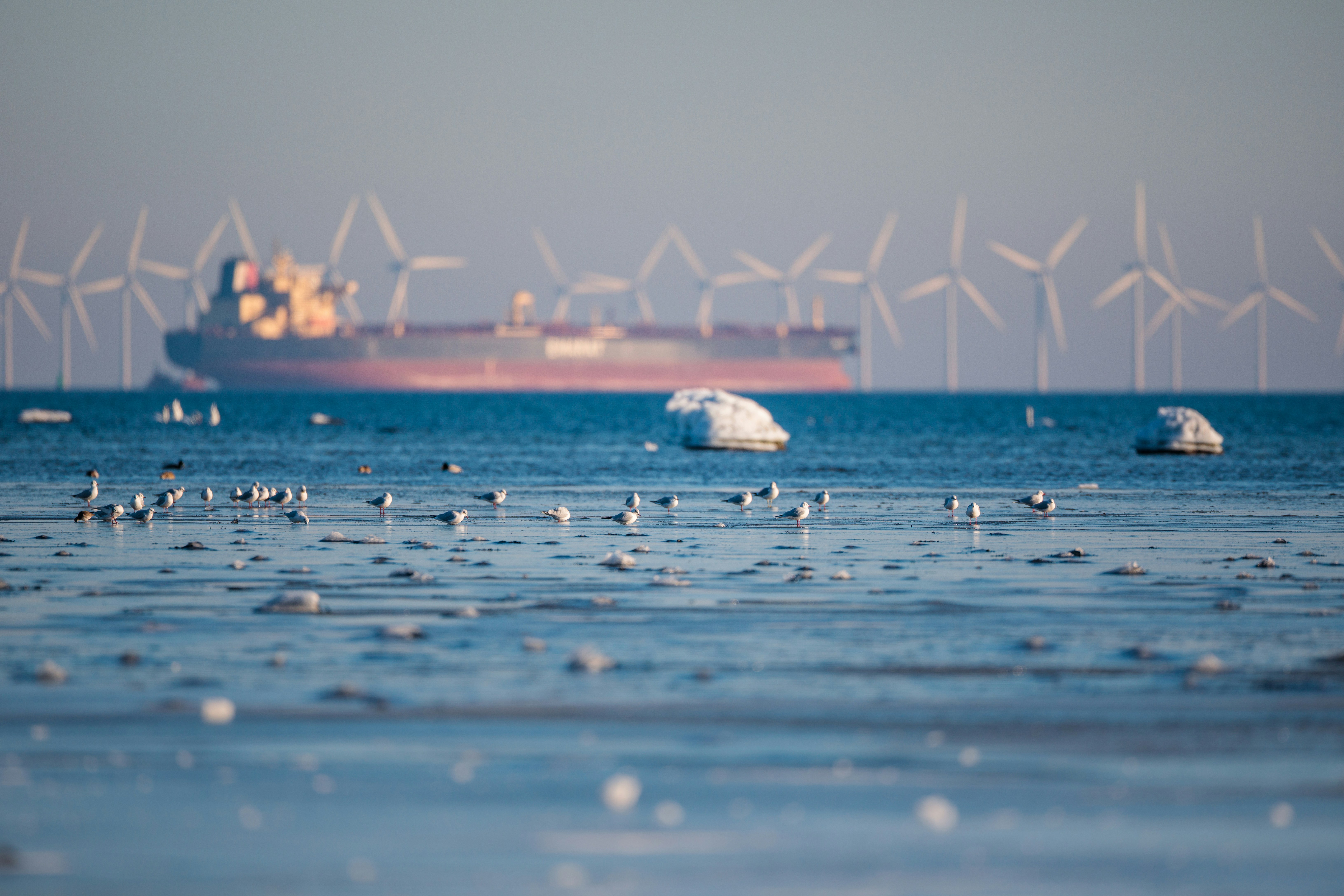 Fleet of wind turbines up the horizon beyond a calm sea with a distant cargo ship