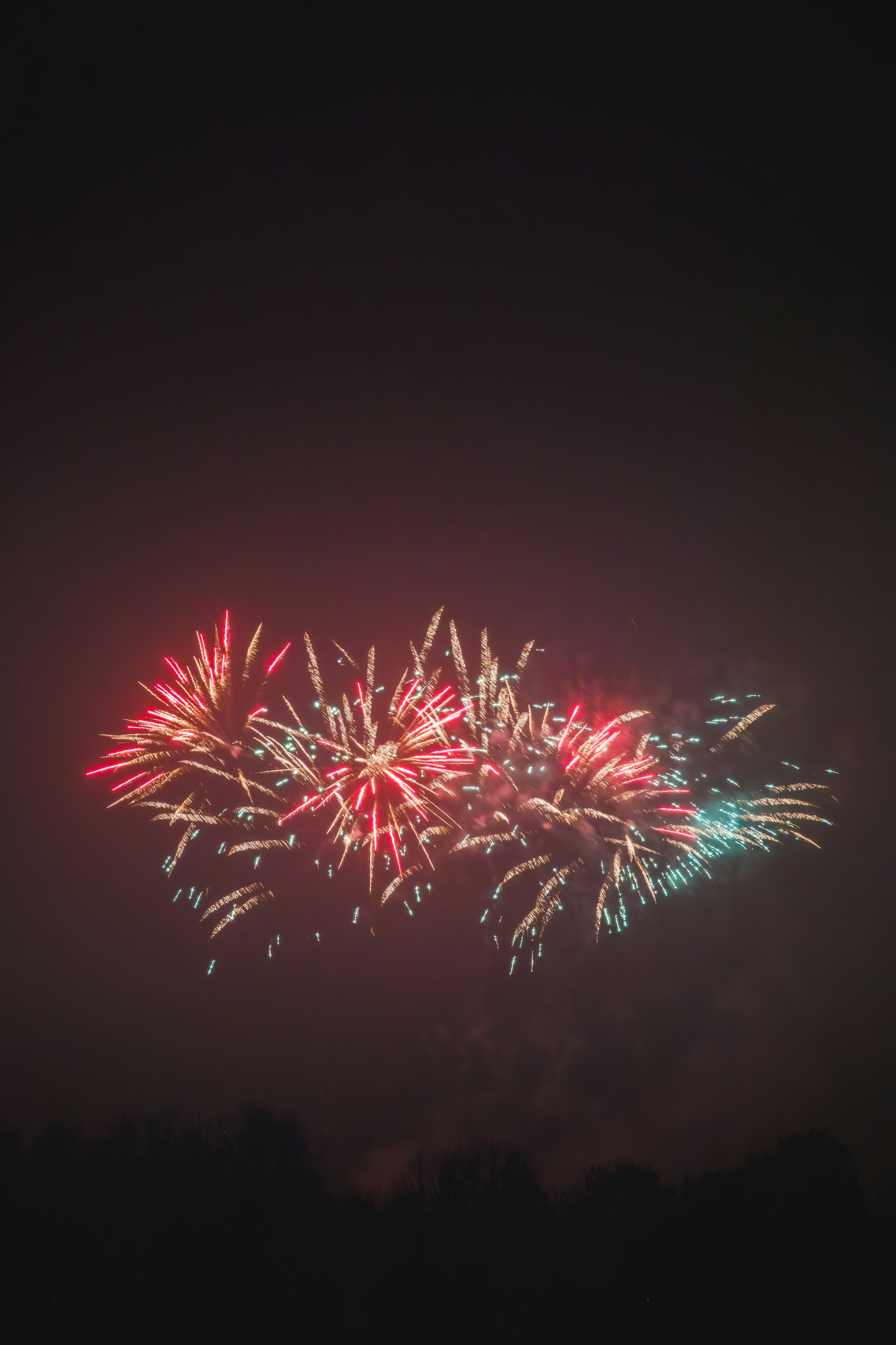 Firework Bouquet Across a Misty Night Sky