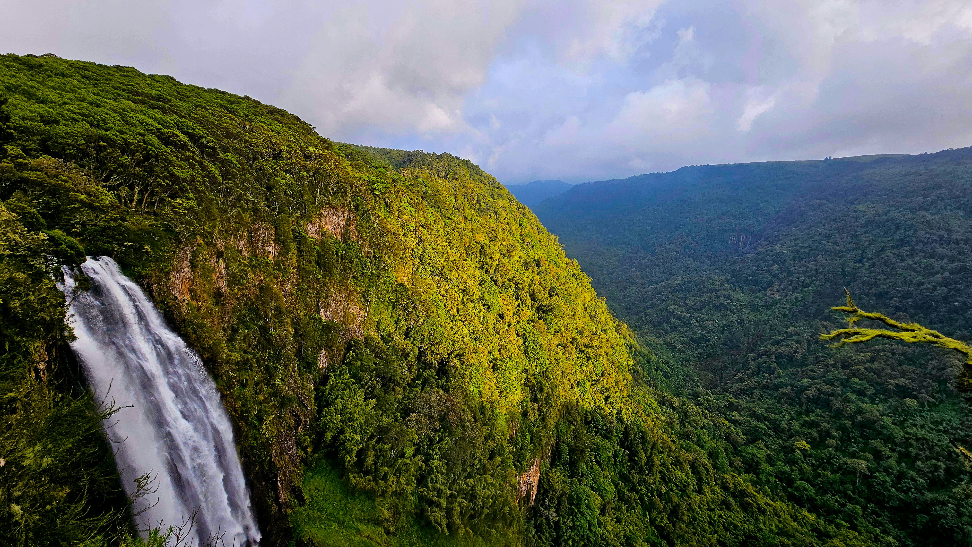 Verdant Rift: A Multilayered Waterfall Gorge from Above