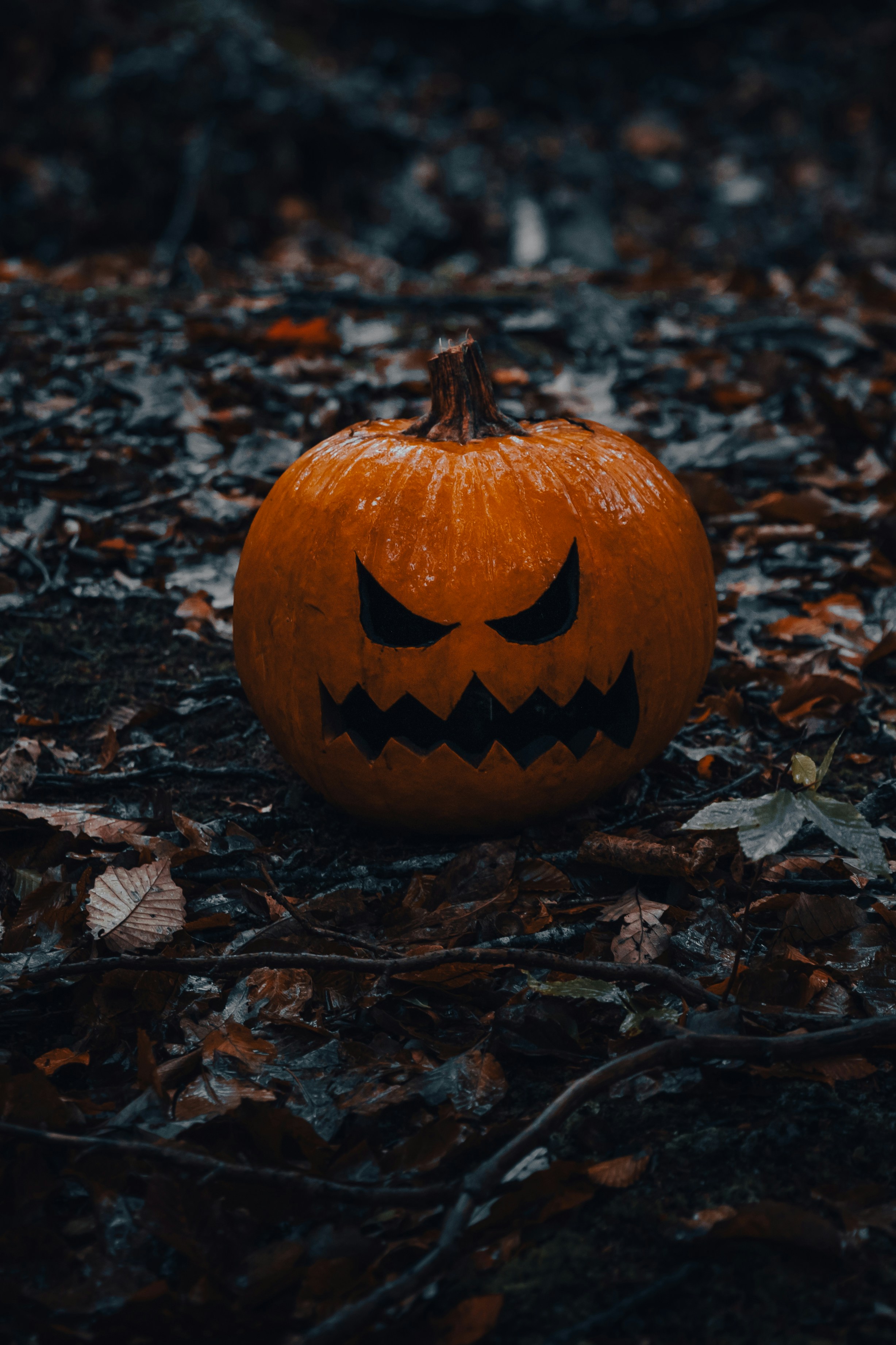 Pumpkin Grin in the Faded Fall Underbrush