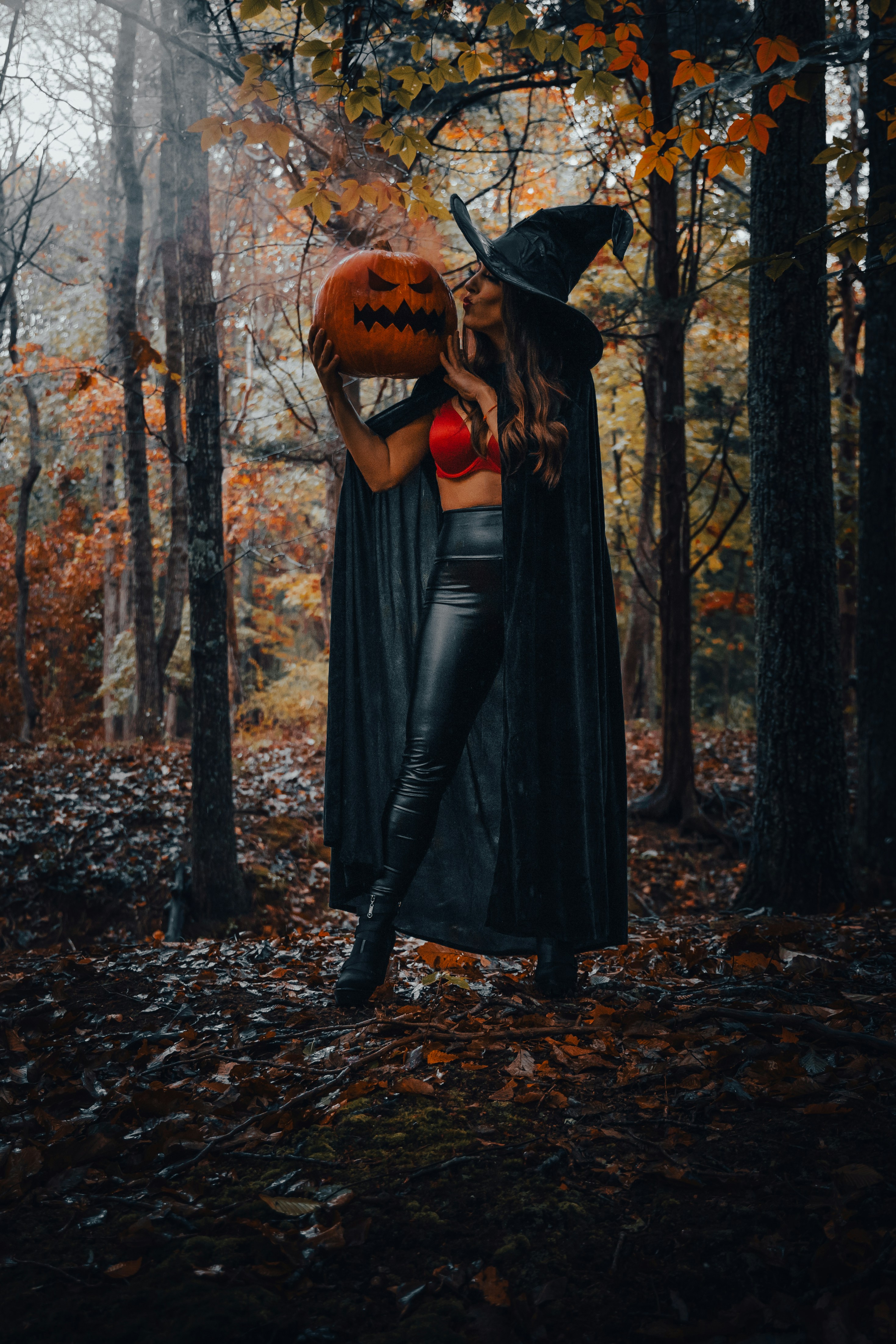 Witching Hour in the Fallen Forest