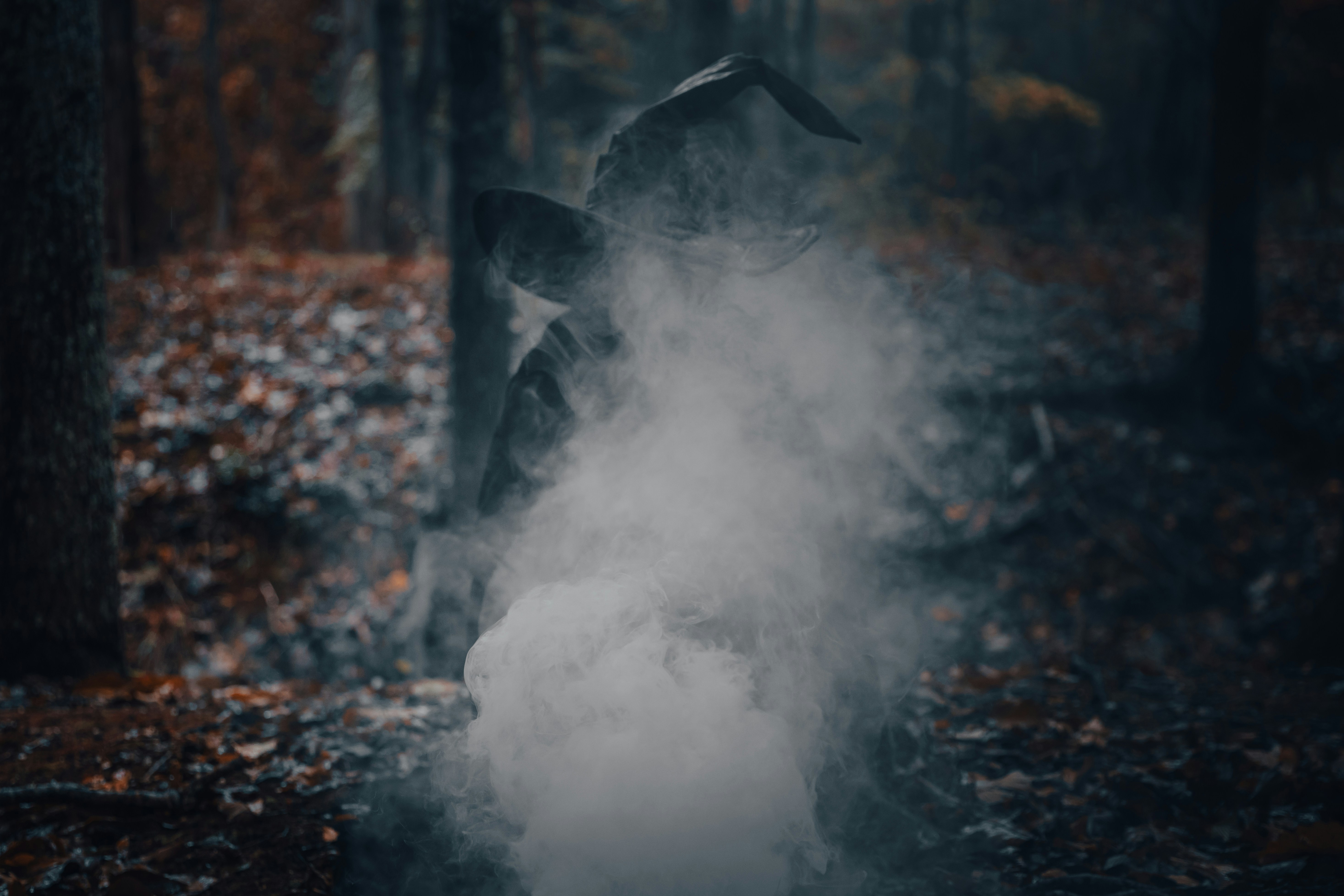 Forest Veil: Ghostly Emission in the Autumn Dark