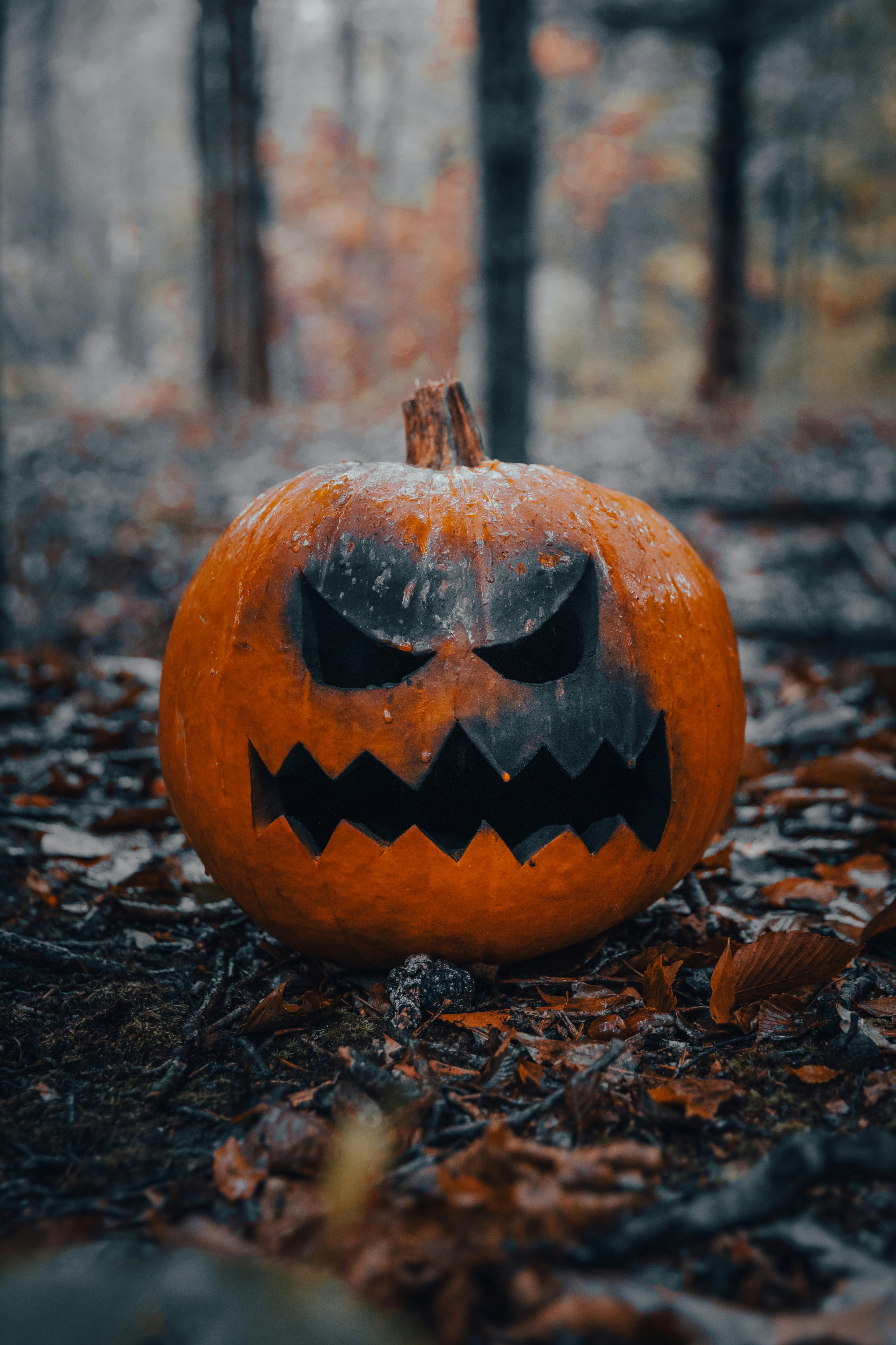Pumpkin Grin in the Rain-soaked Hollow