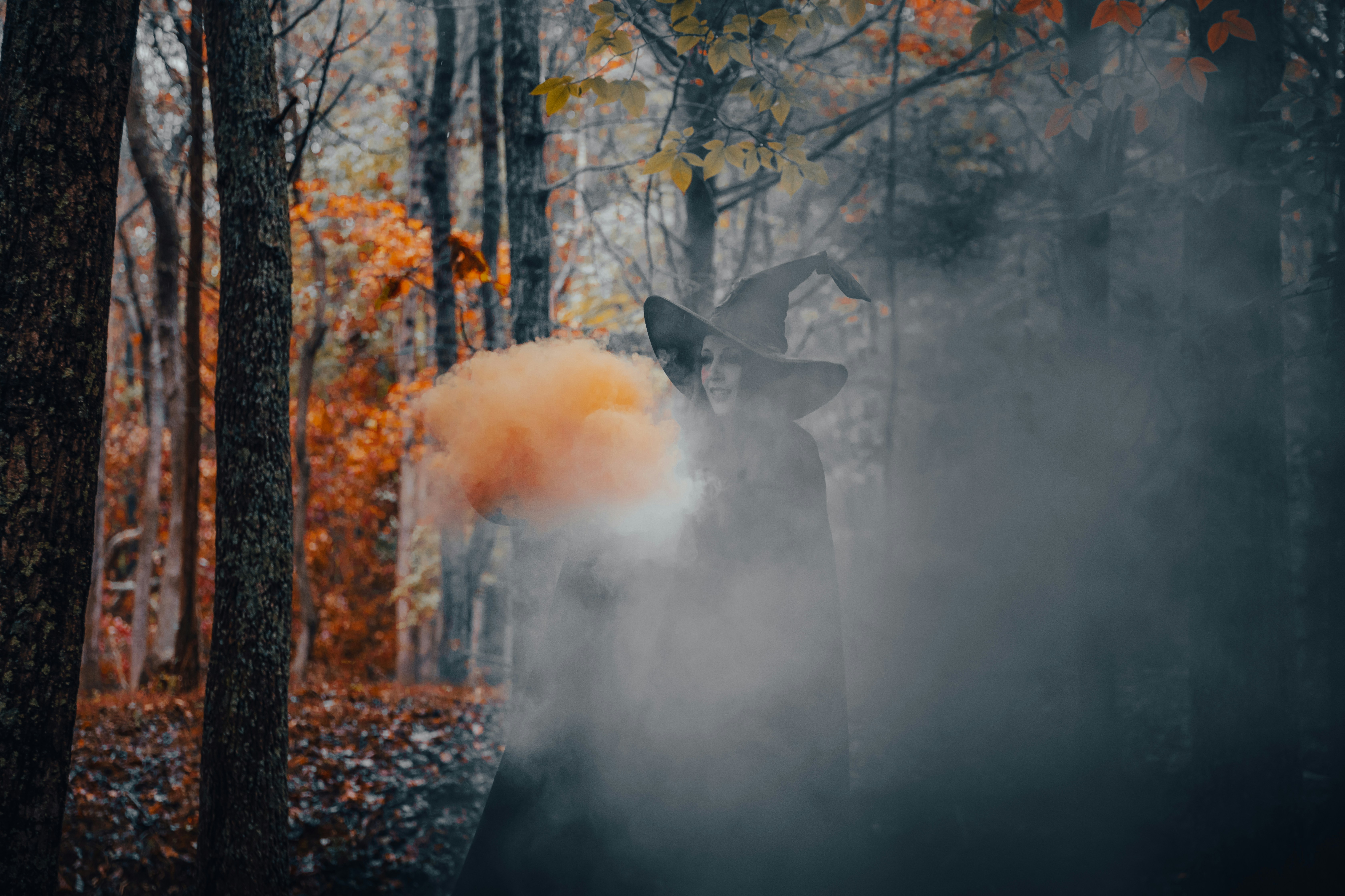 Smoke and Witch in the Autumn Forest