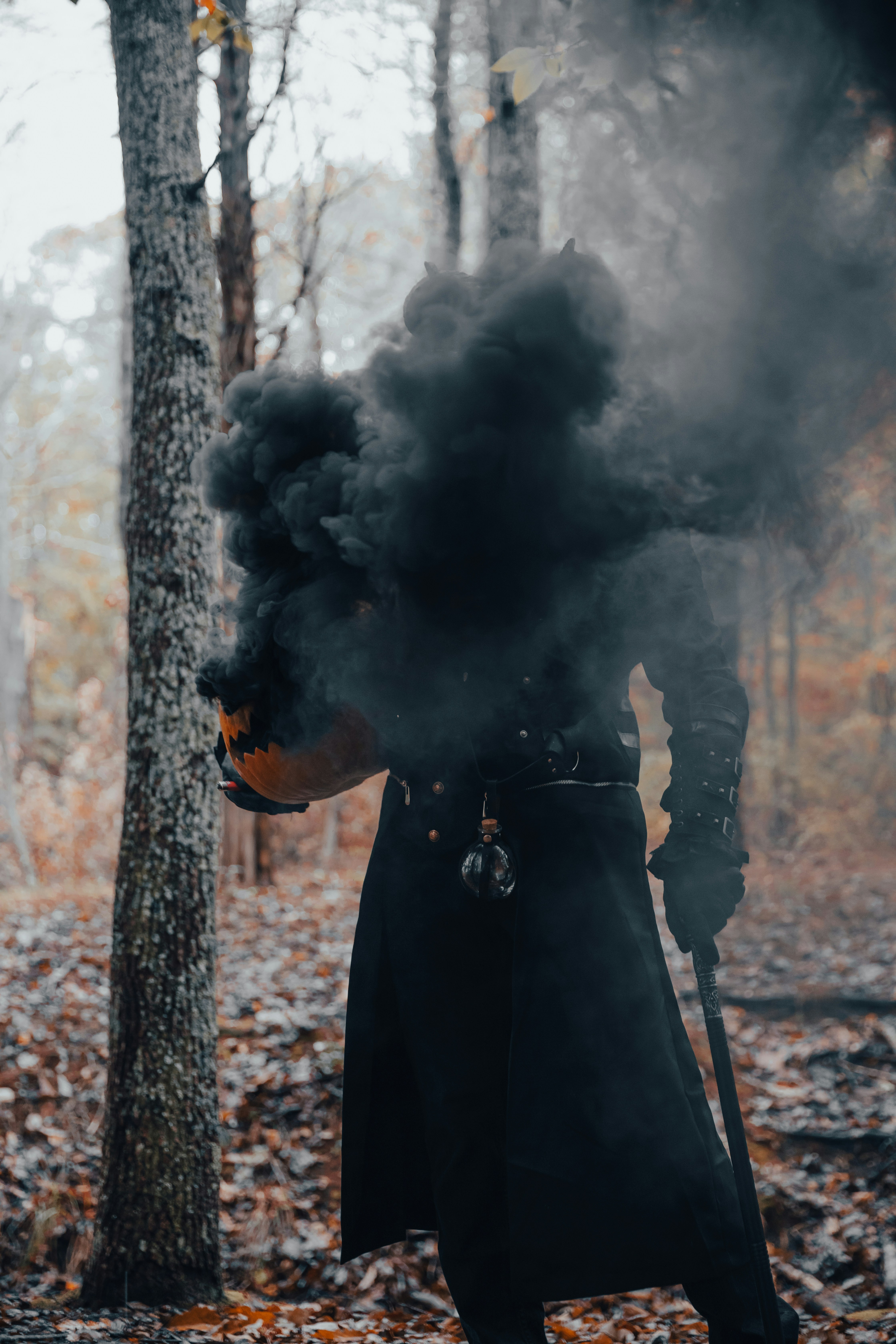 Smoked Silhouette in the Autumn Woods