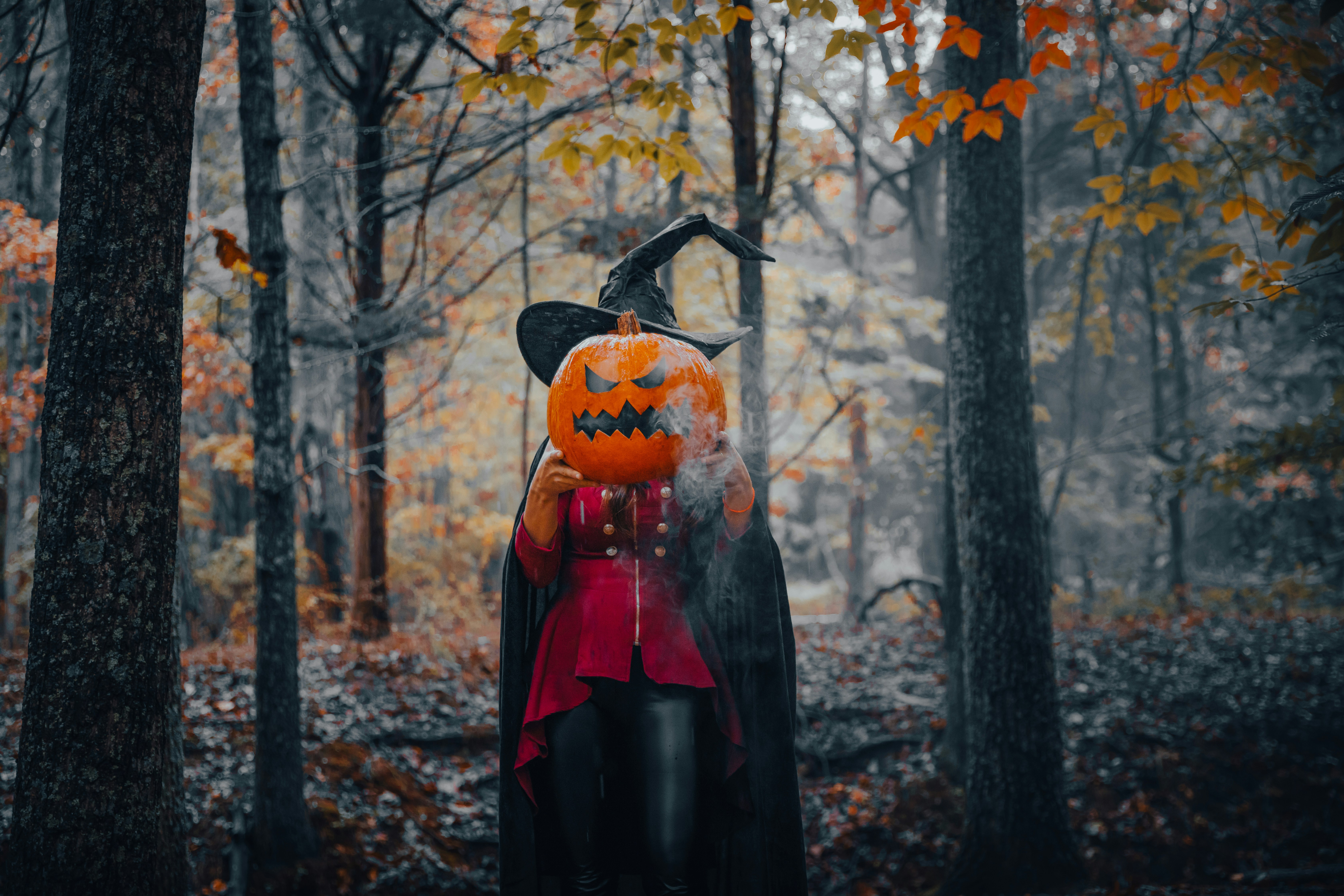 Harvest Moon in the Woods: Jack-o’-Lantern Between Shadows
