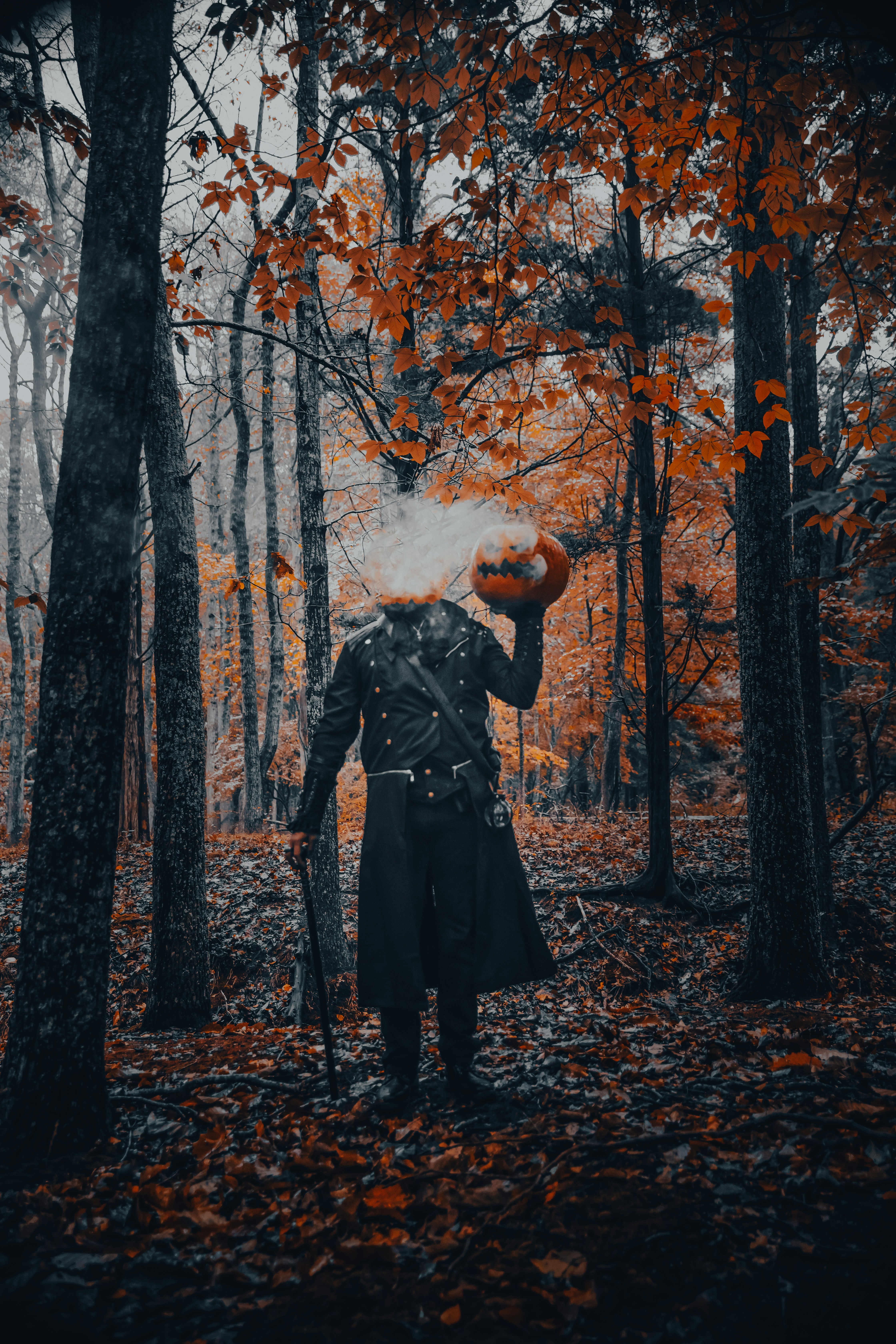 Pumpkin Guardian in the Autumn Fog