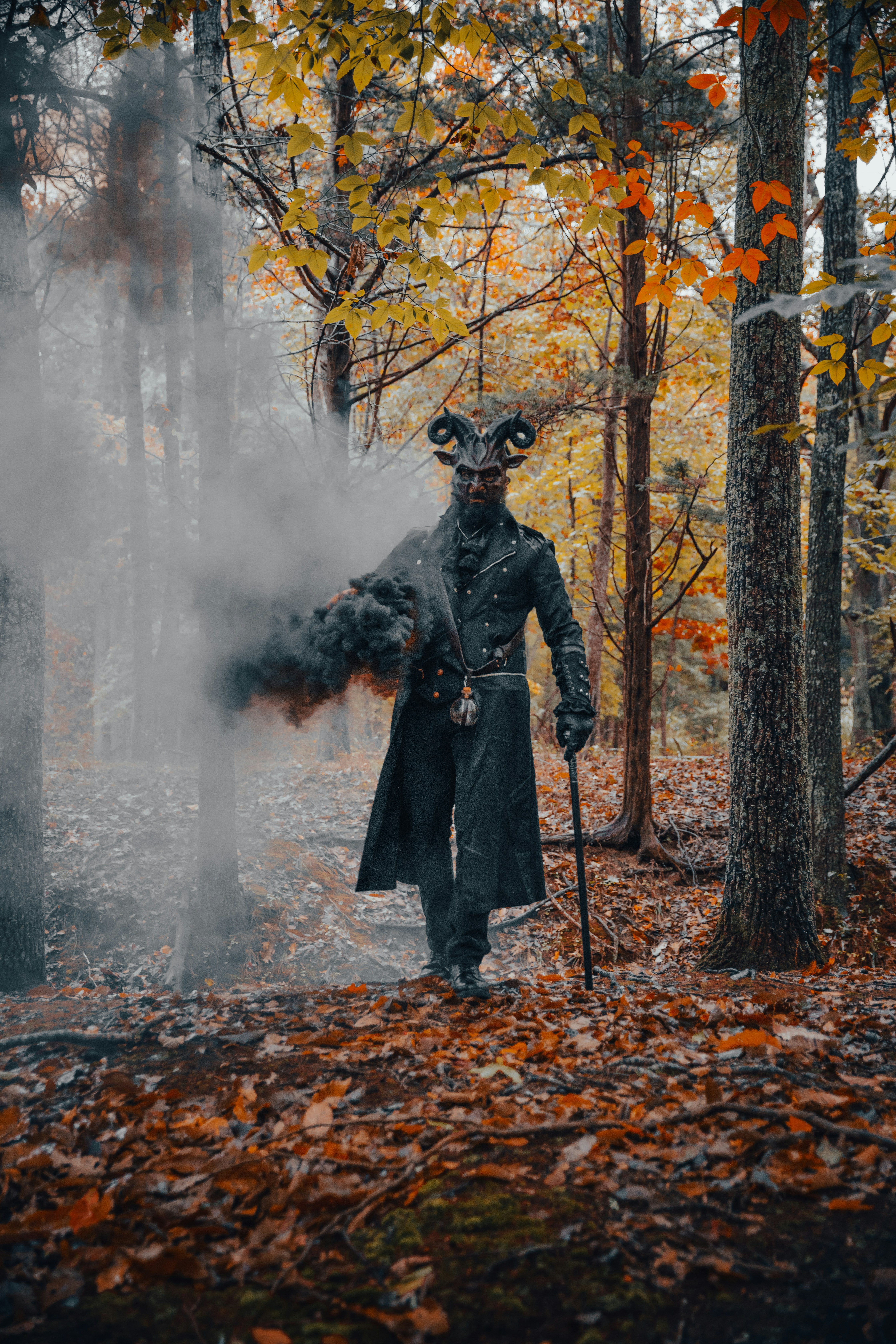 Silent Warden in Autumn Fog