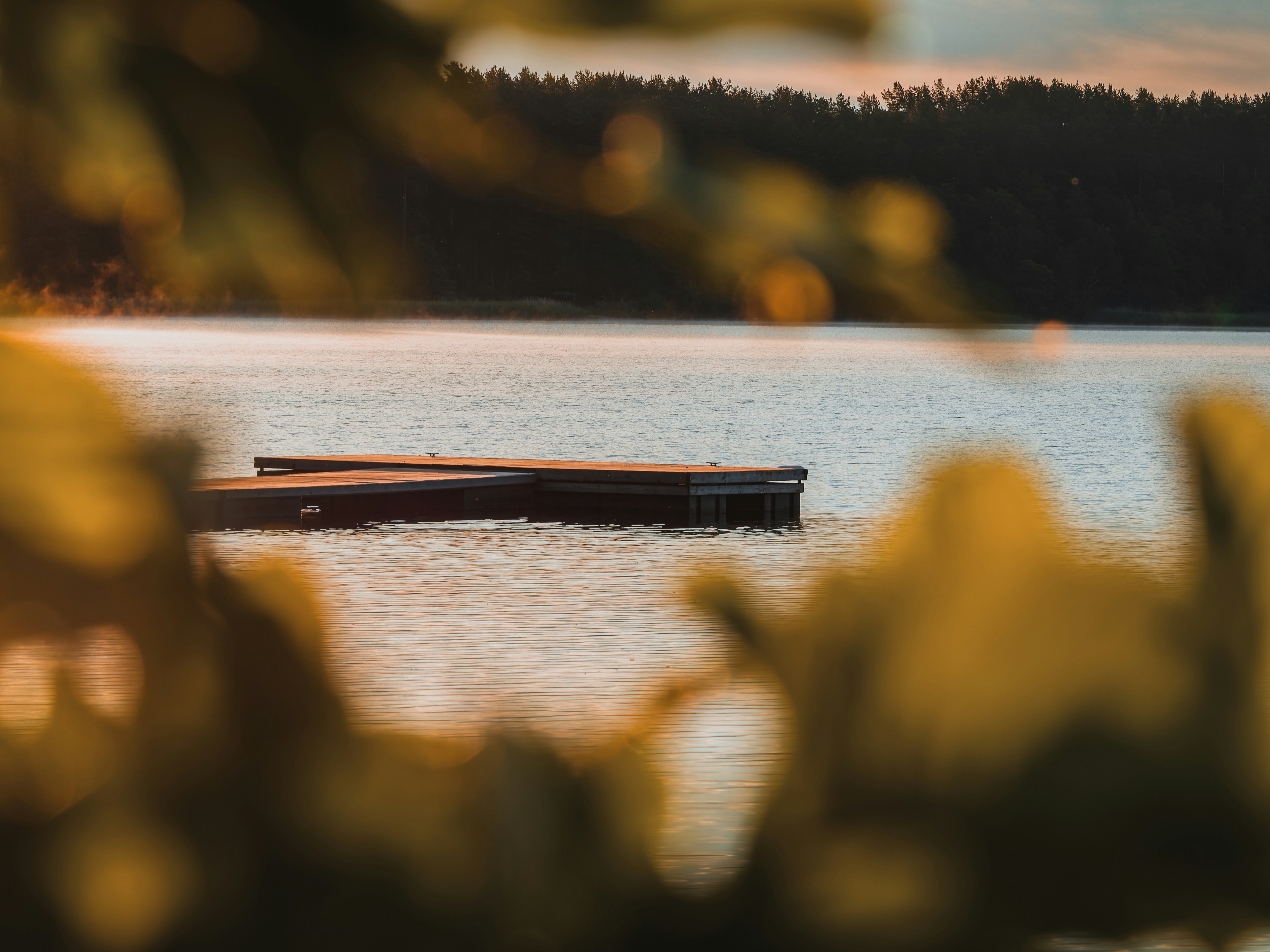Distant Dock on a Quiet Lake, Framed by Soft Foliage
