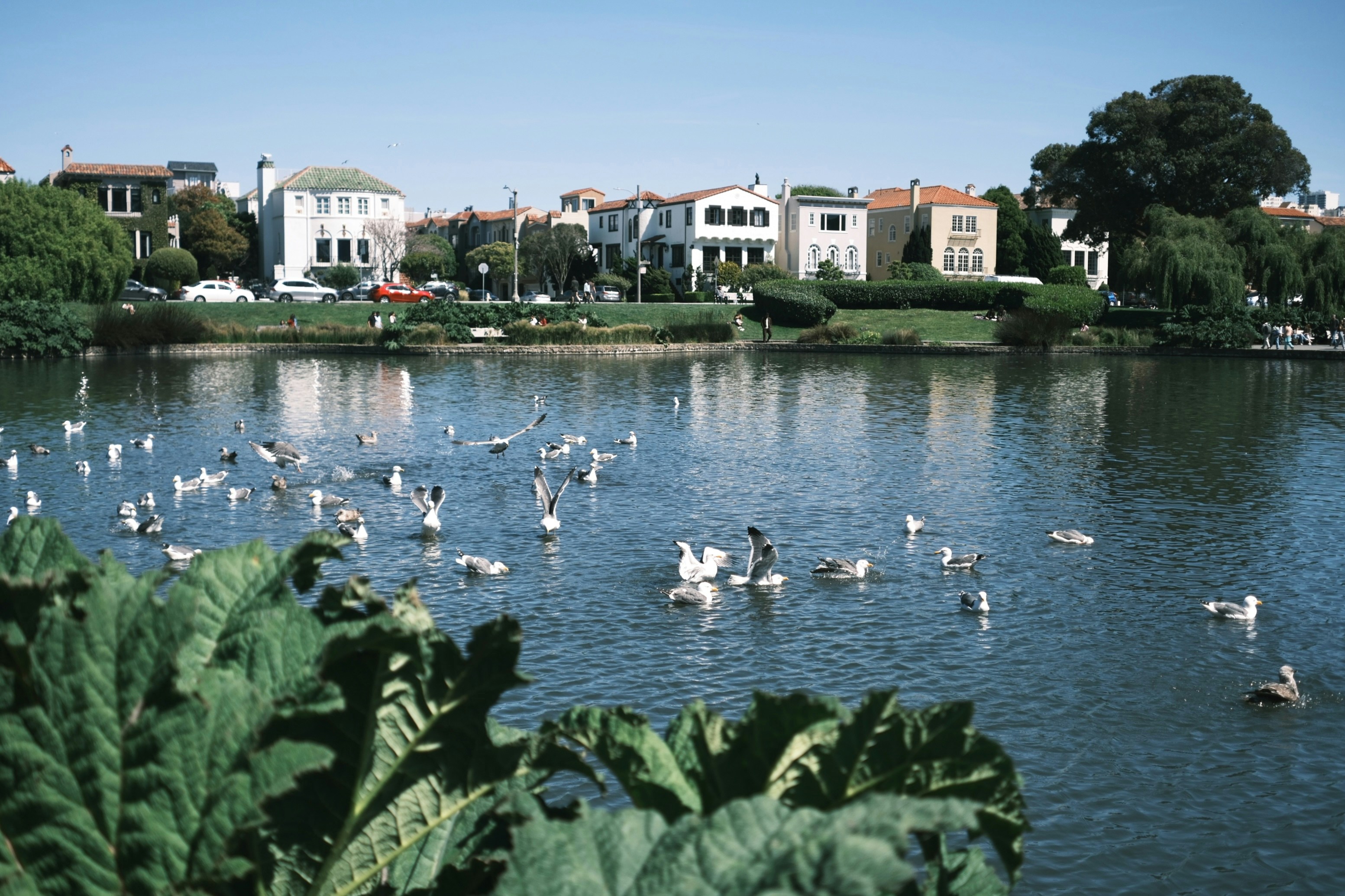 Civic Row: row of pastel houses watching over a quiet river