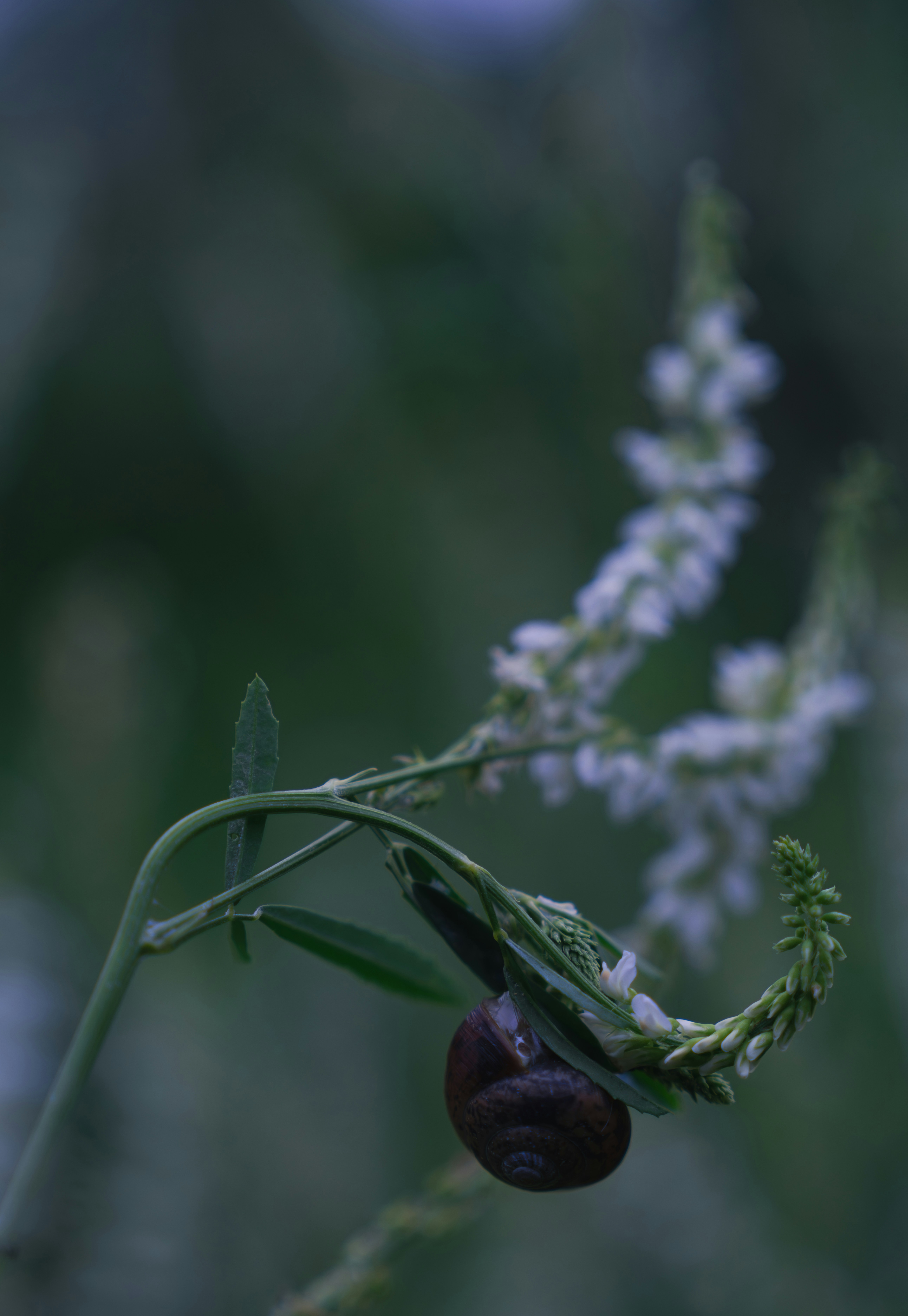 Photo by German Krupenin with Sony Alpha 7R IV
