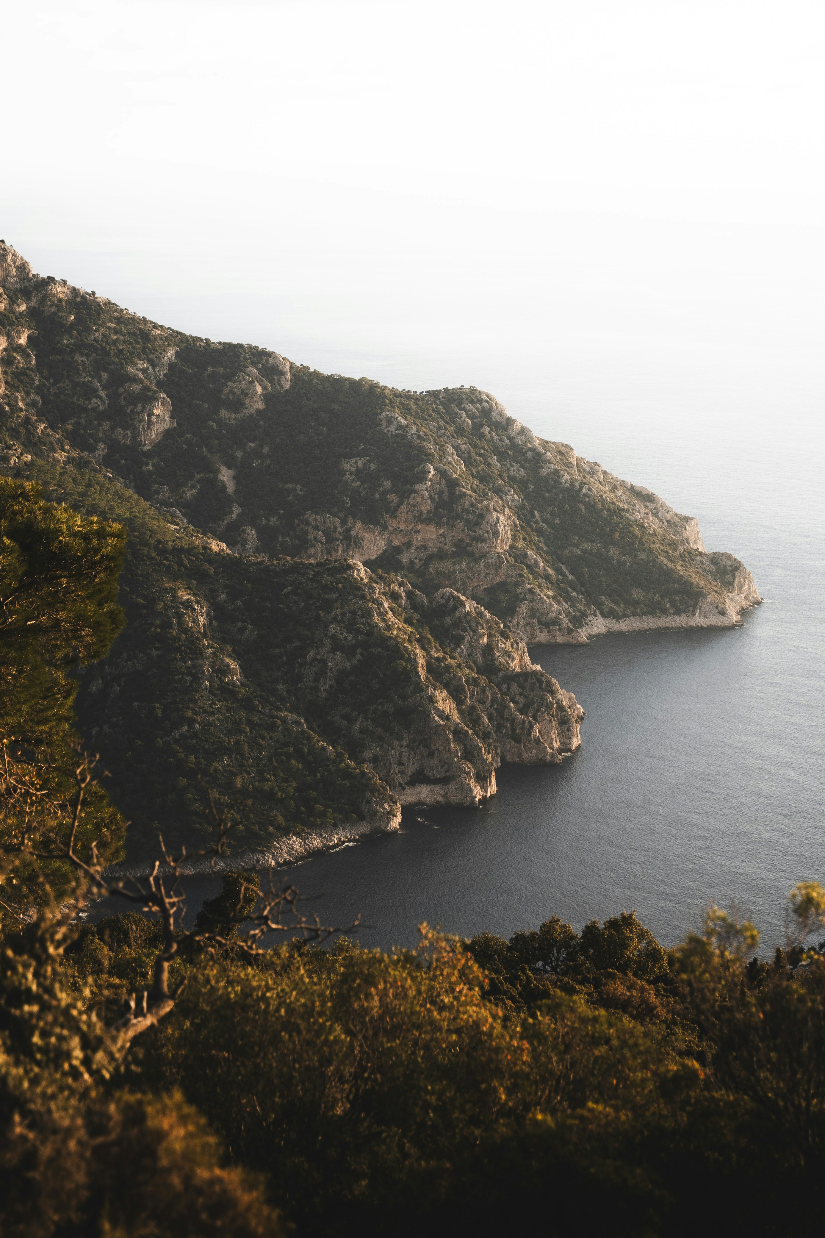 Sunlit Cliffs Retreat into the Tidal Blue