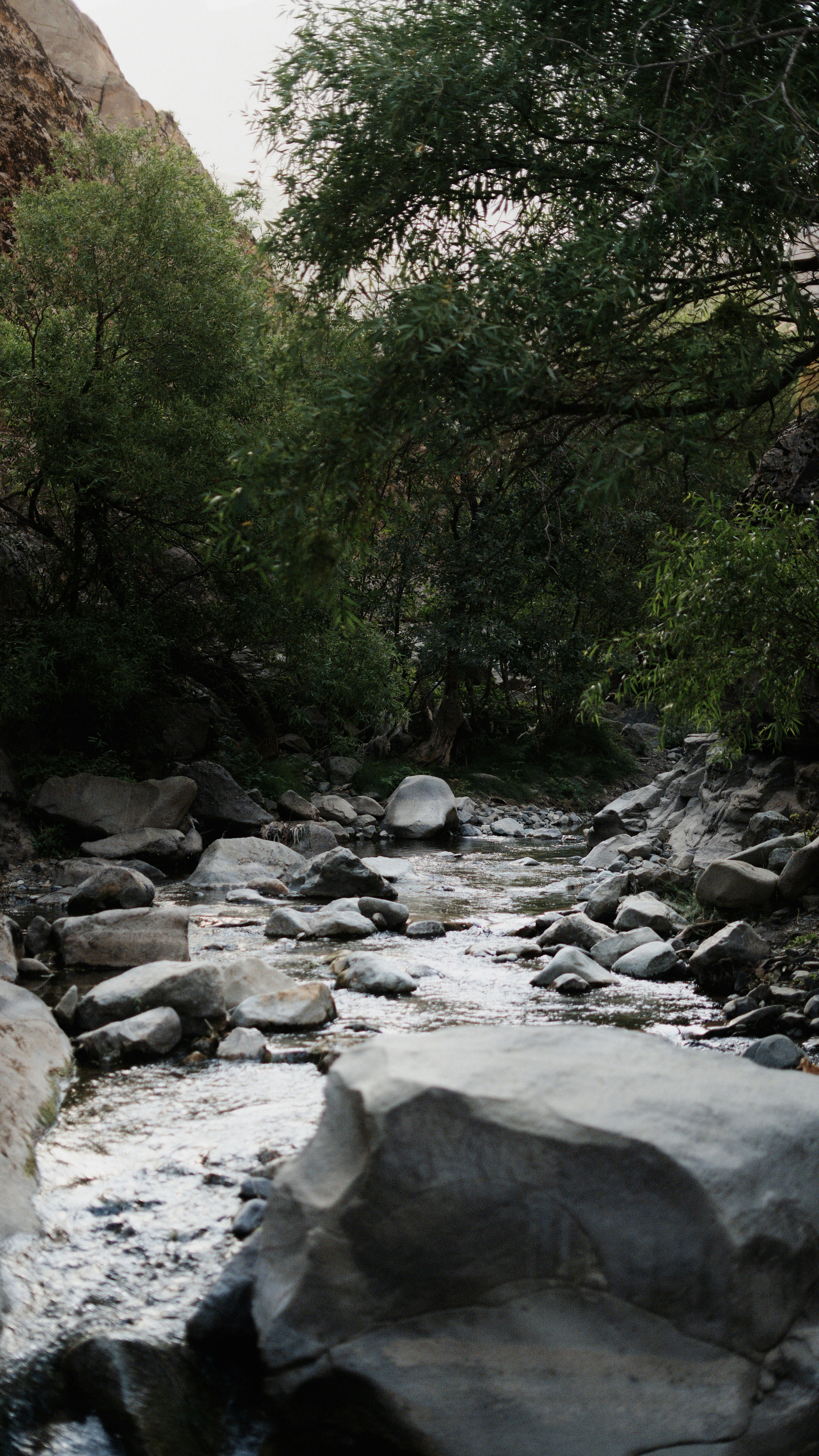 Riverside Path Through a Quiet Canyon