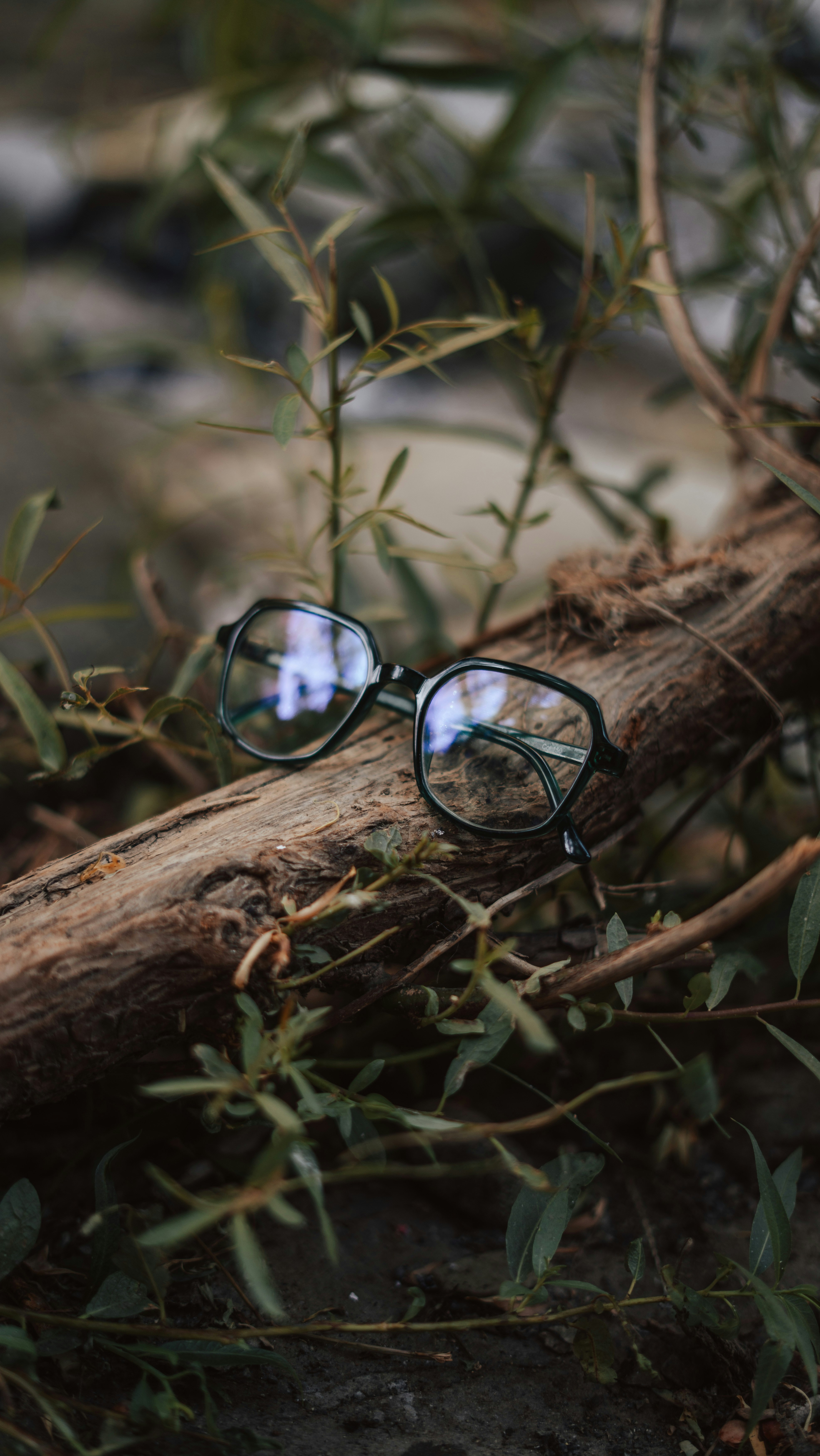 A pair of dark-framed glasses rests on a weathered log, surrounded by slender green vines in a garden setting. The scene emphasizes the glasses as the focal point with a blurred natural backdrop.