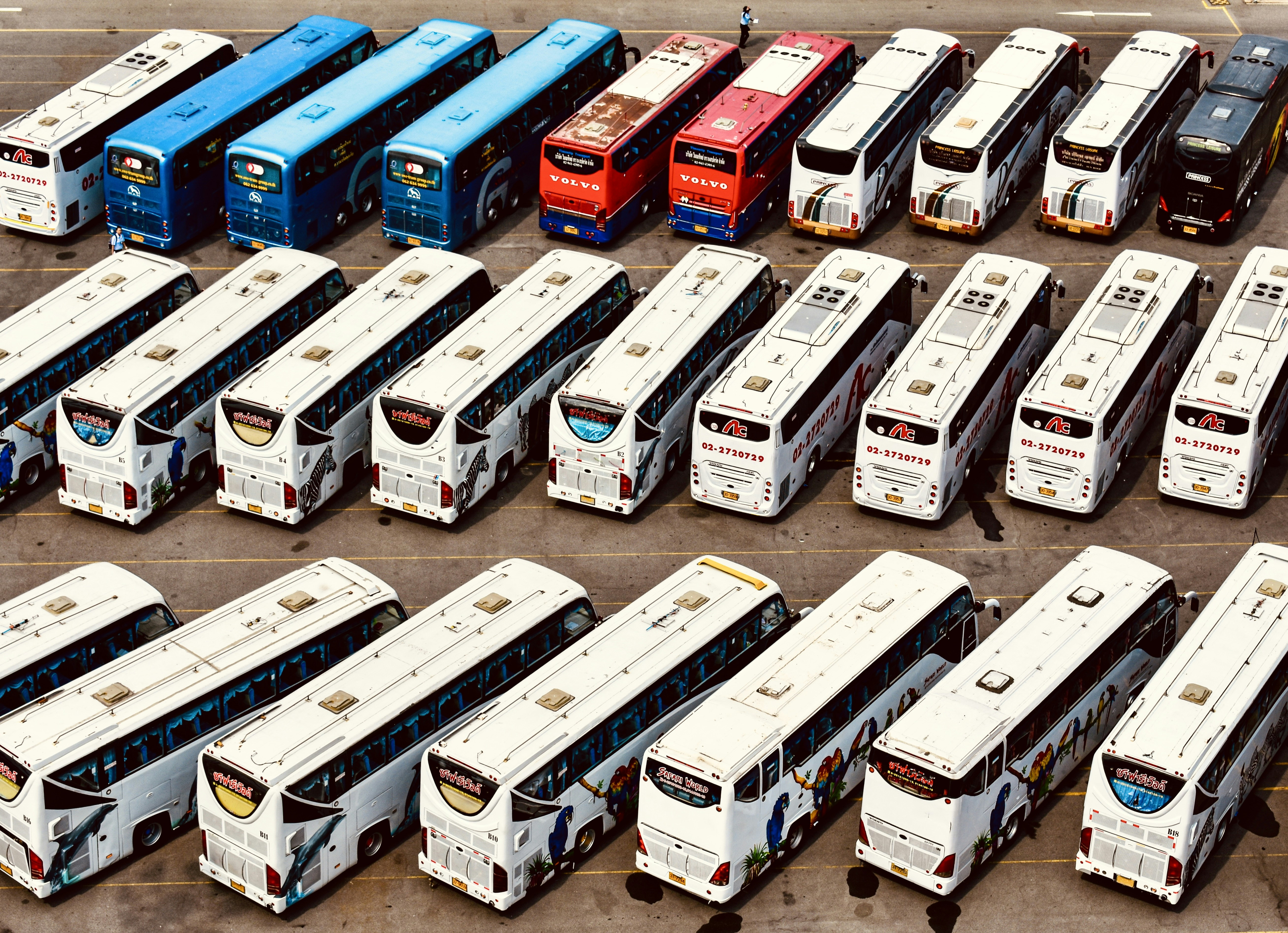 A Fleet of Miniature City Buses: Colors, Lines, and Rodent-Quiet Parking