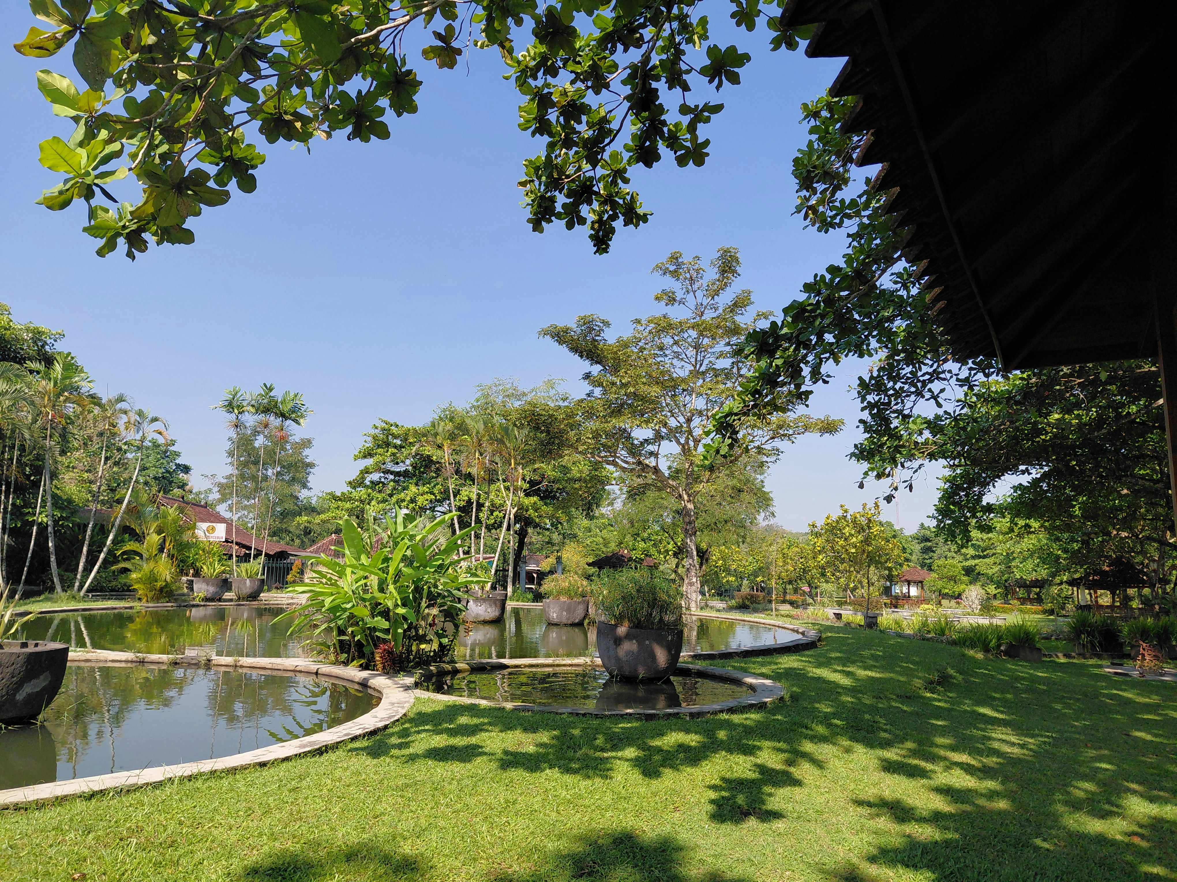 Serene Lakeside Garden Under Dappled Shade