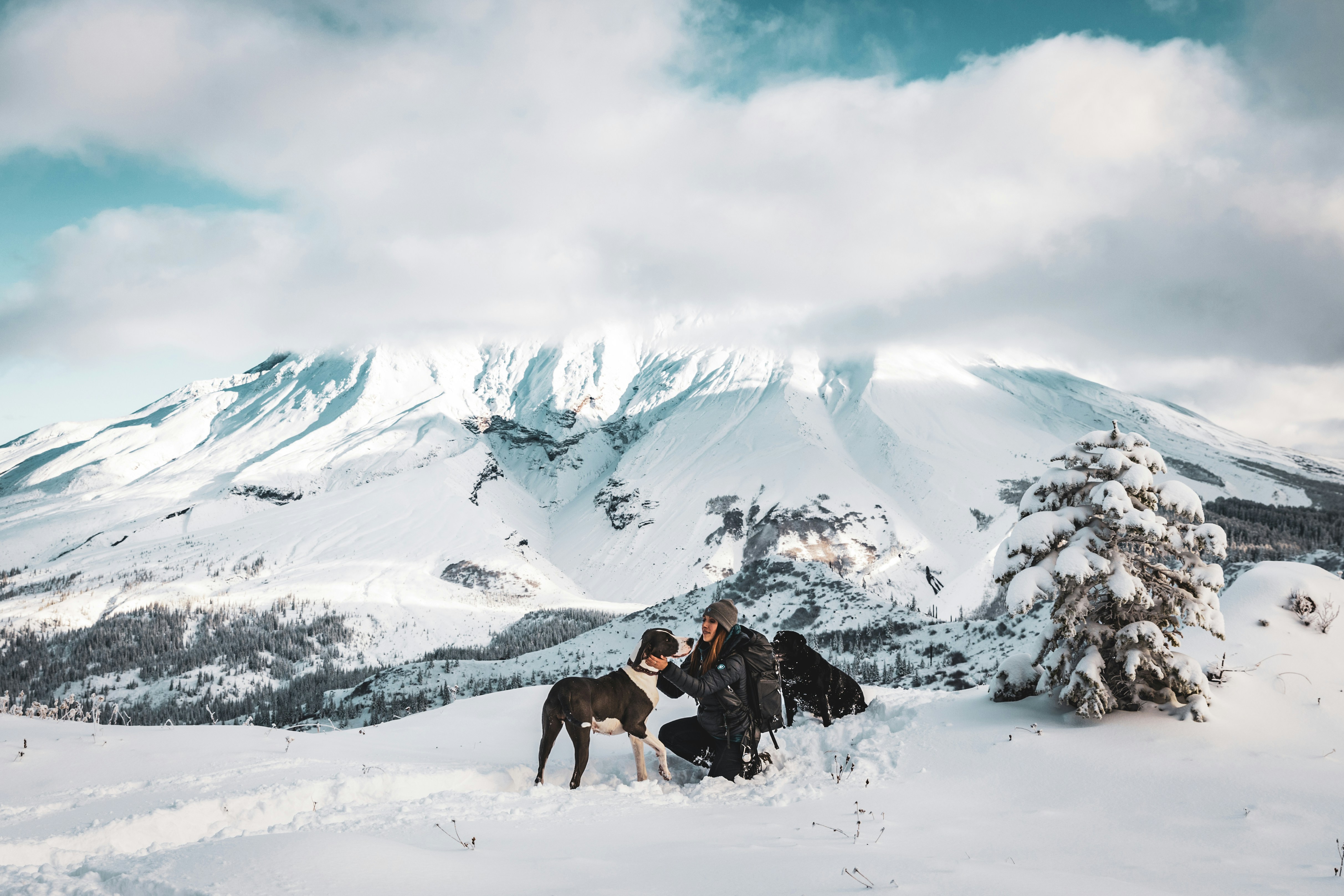 Snowbound Companions: A Winter Portrait in the Peaks