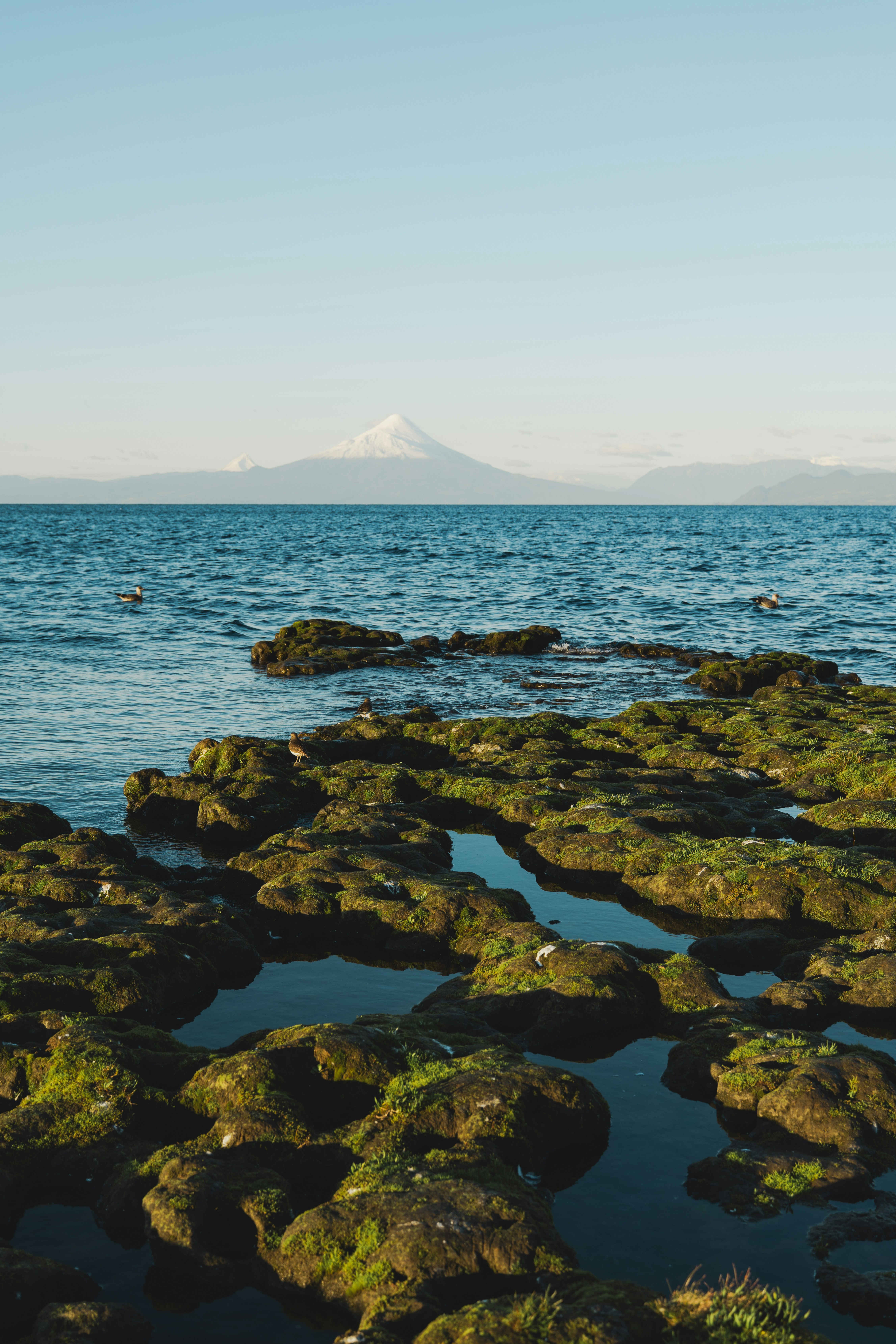 Mossy Tides: Sea Rocks and a Distant Snow Peak
