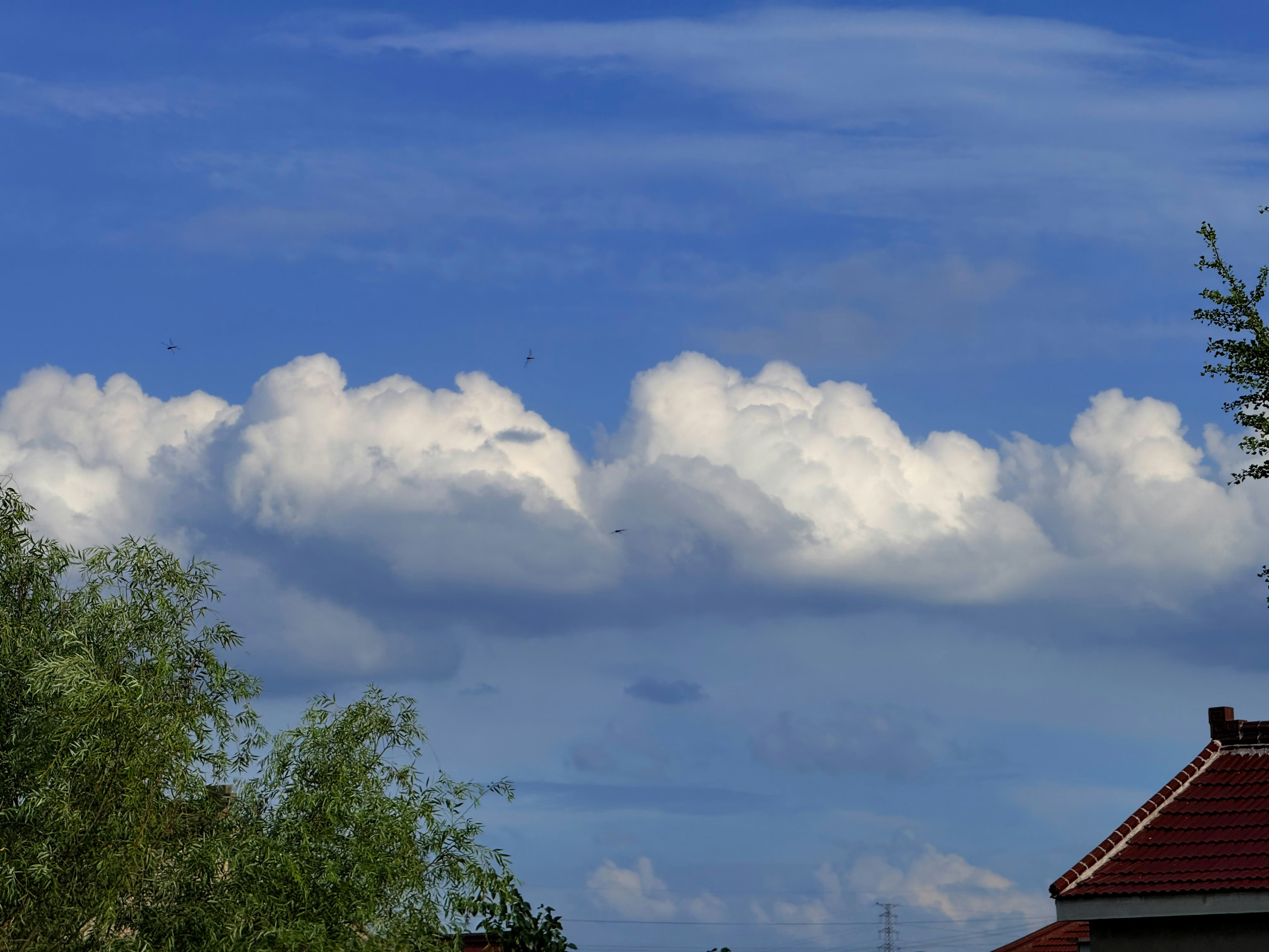 Bright blue sky with cumulus clouds over a treeline and a red-tiled roof at right; a calm, wide-angle urban landscape.