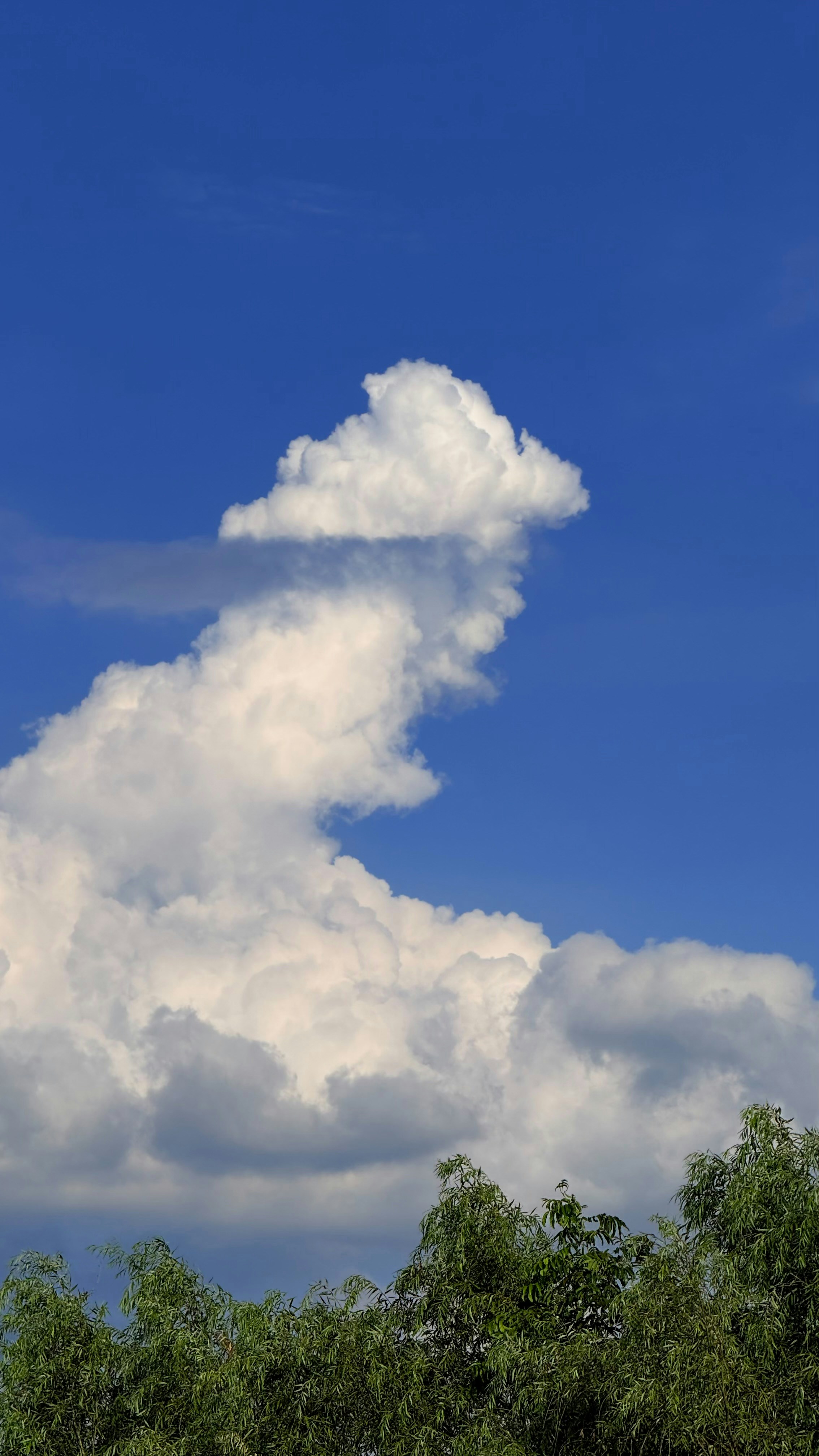 Towering Cloud Column Reaching Toward a Clear Blue Sky