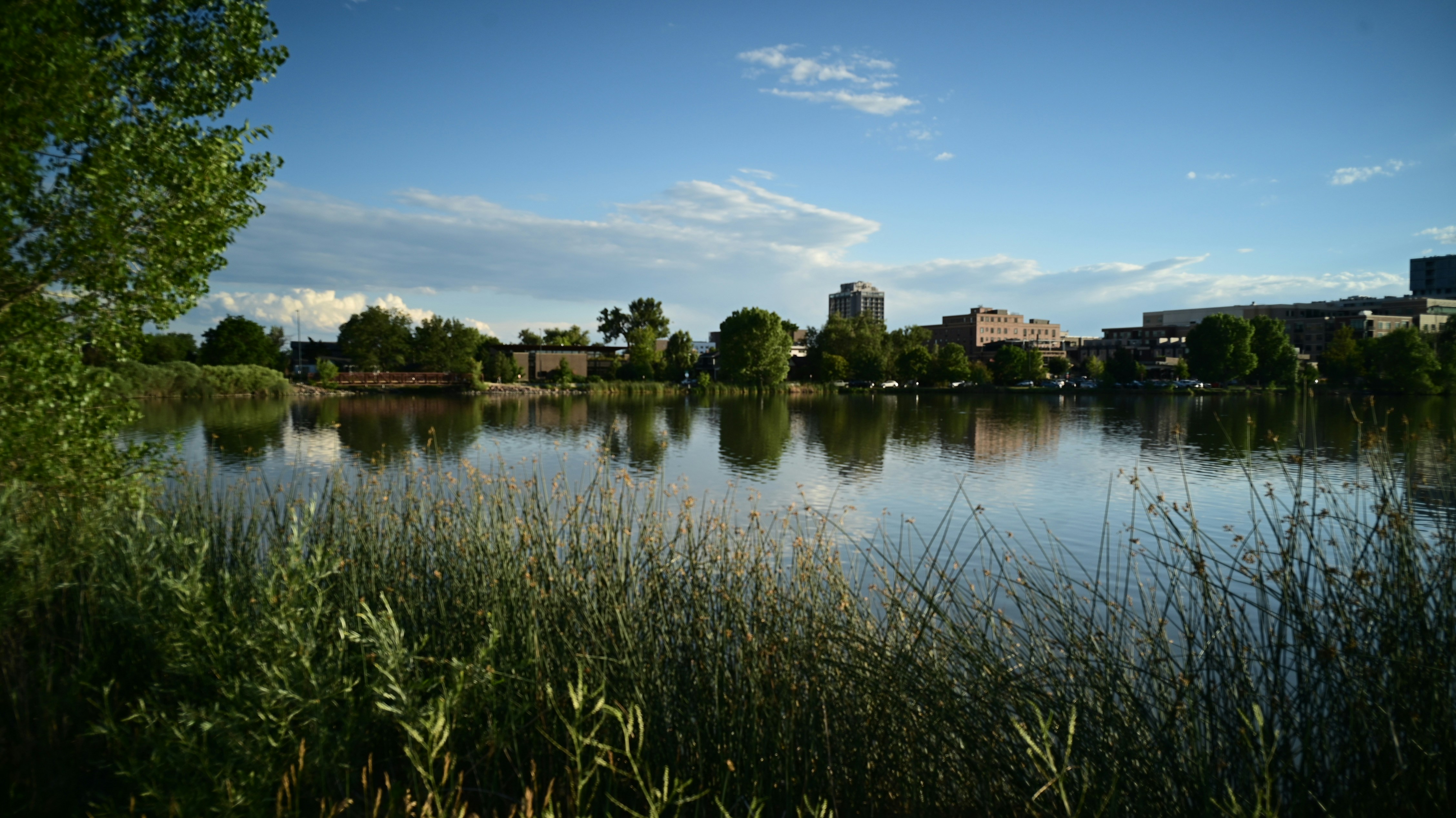 Cityscape Reflections: Calm Marina Beneath a Bright Sky