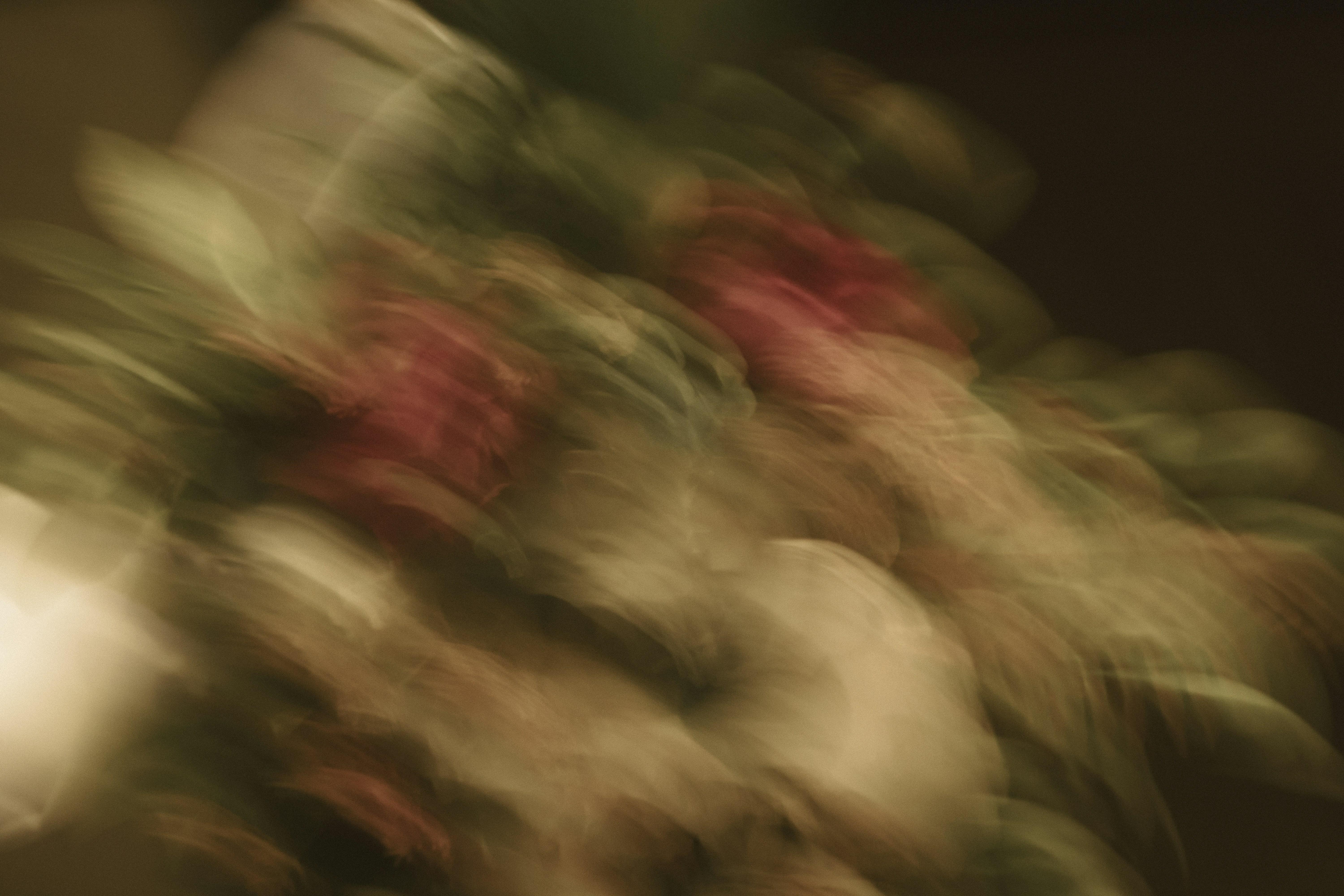 Blurred Floral Bouquet in Soft Evening Light