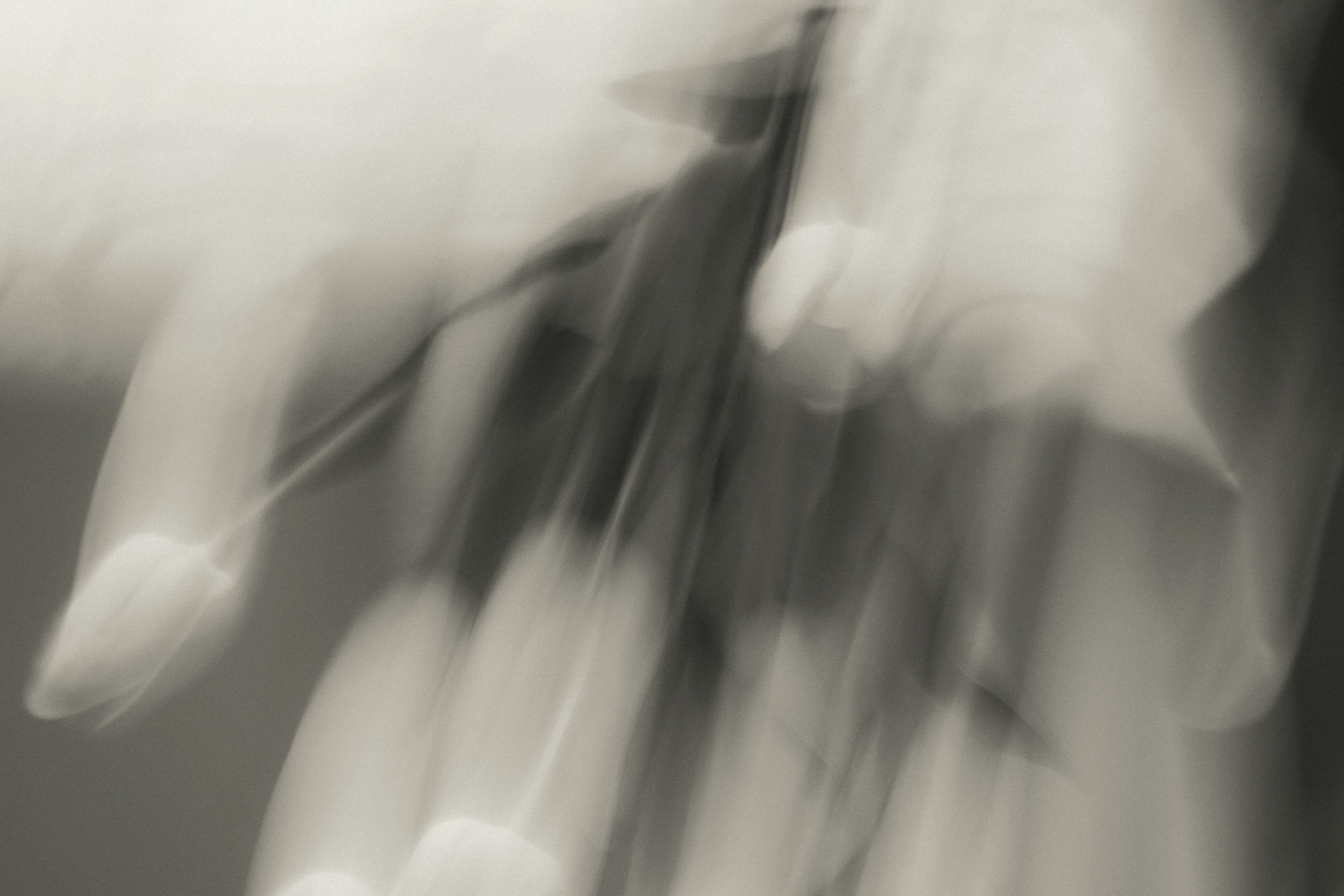 Blurred motion of soft light orbs: abstract chandelier in motion