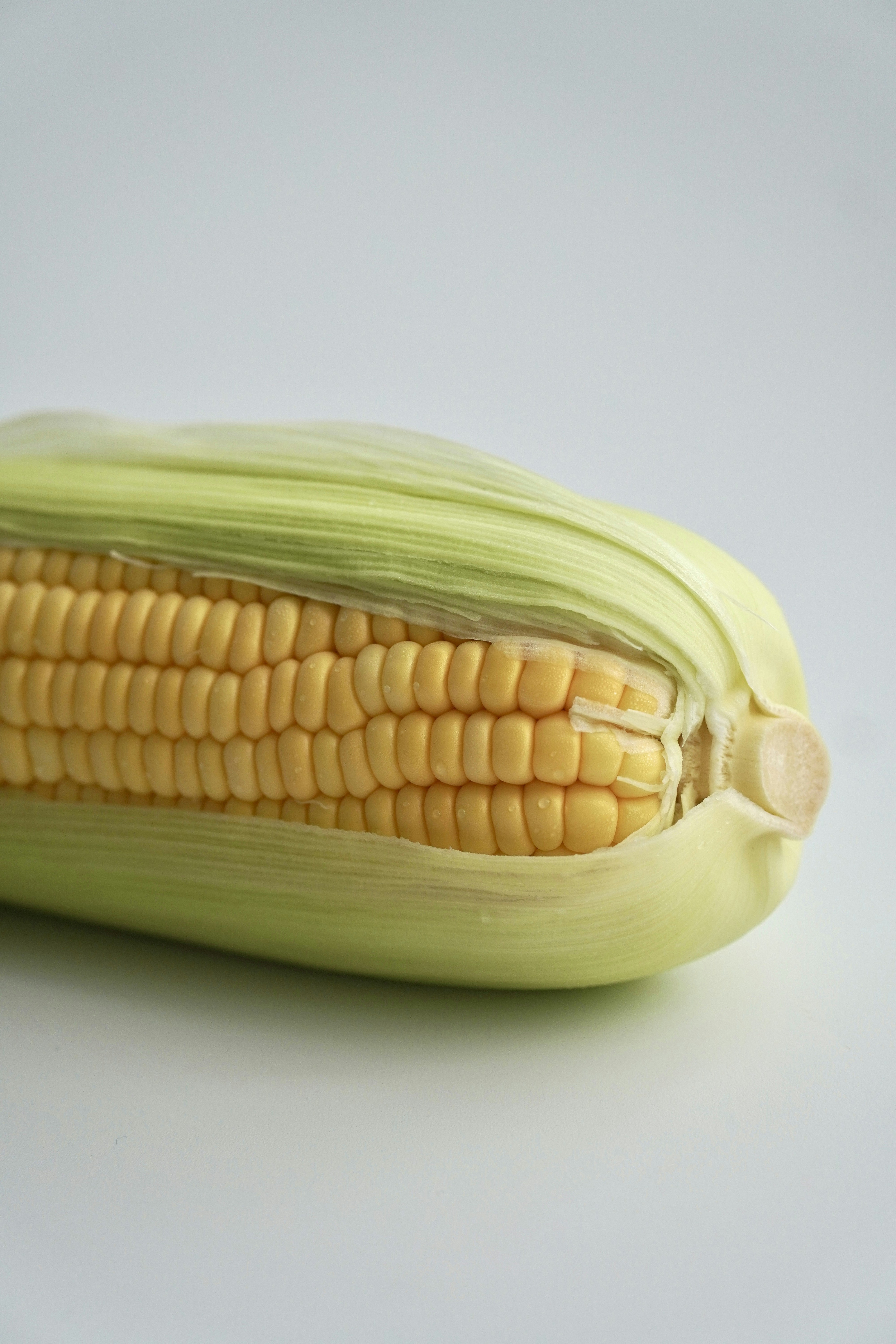 Corn on the Cob: Close-Trimmed Kernel Row on a Fresh Husk