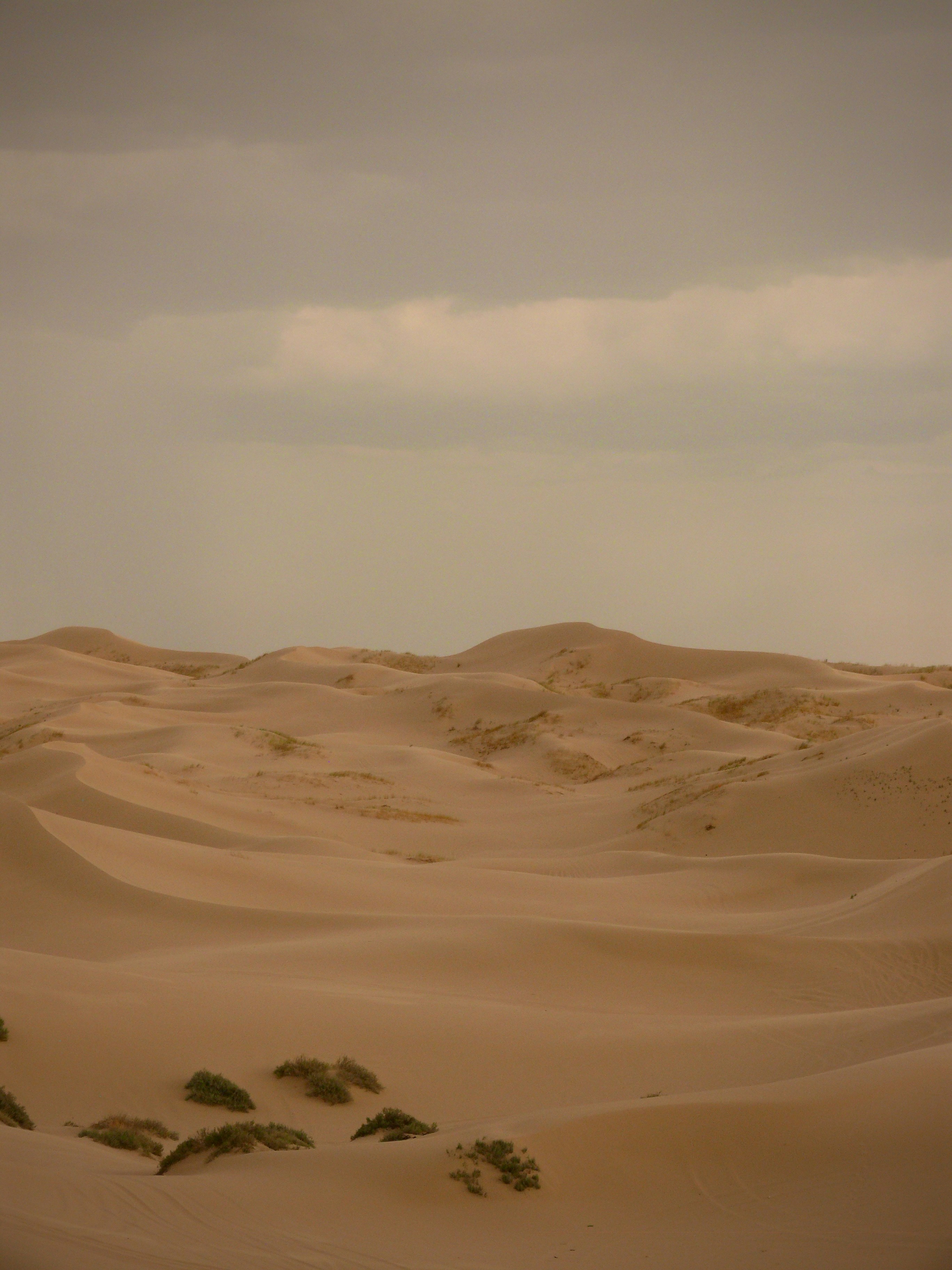 Echoes of Sand: Dune Waves Under Soft Skies