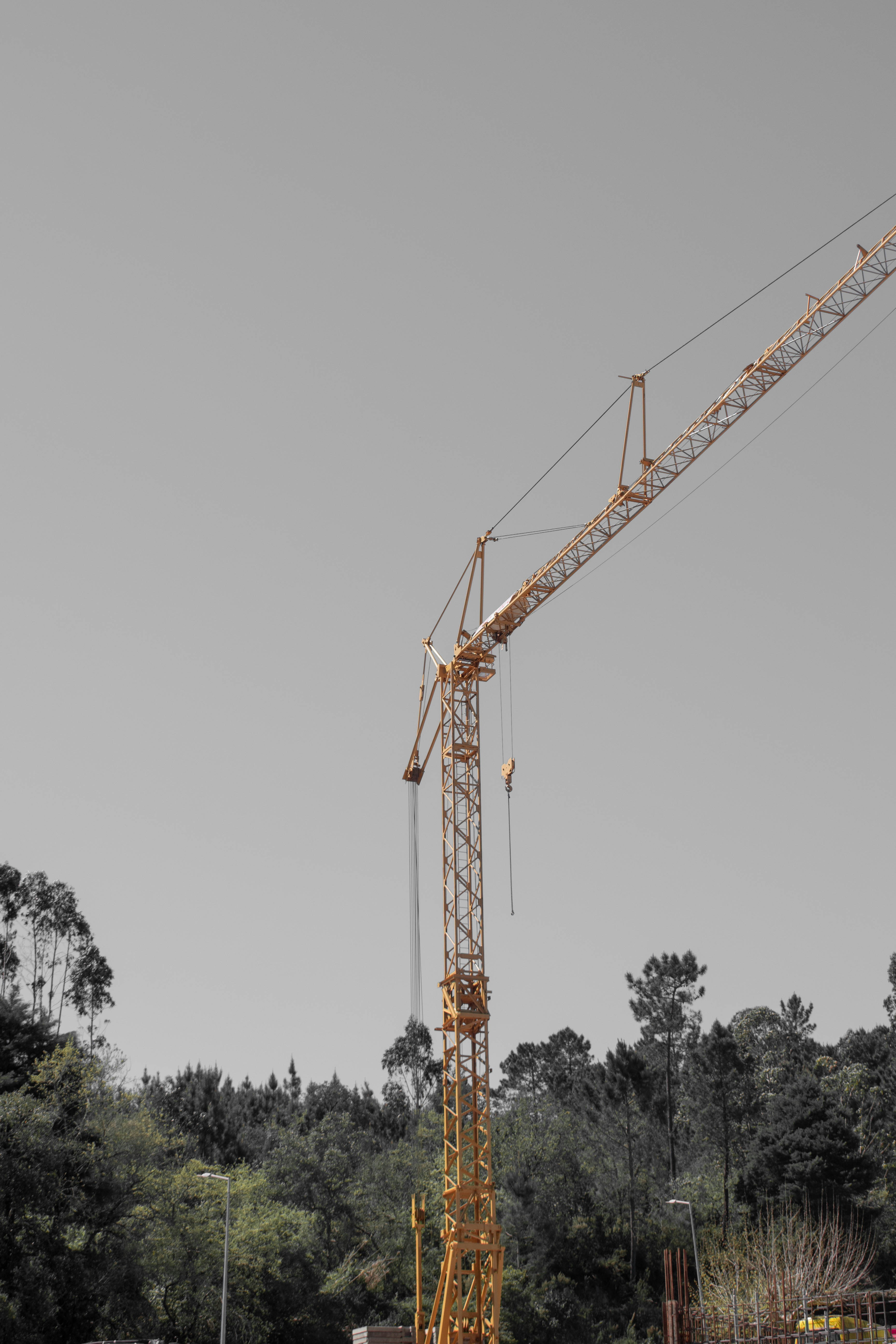 Towering Crane Against a Quiet Horizon