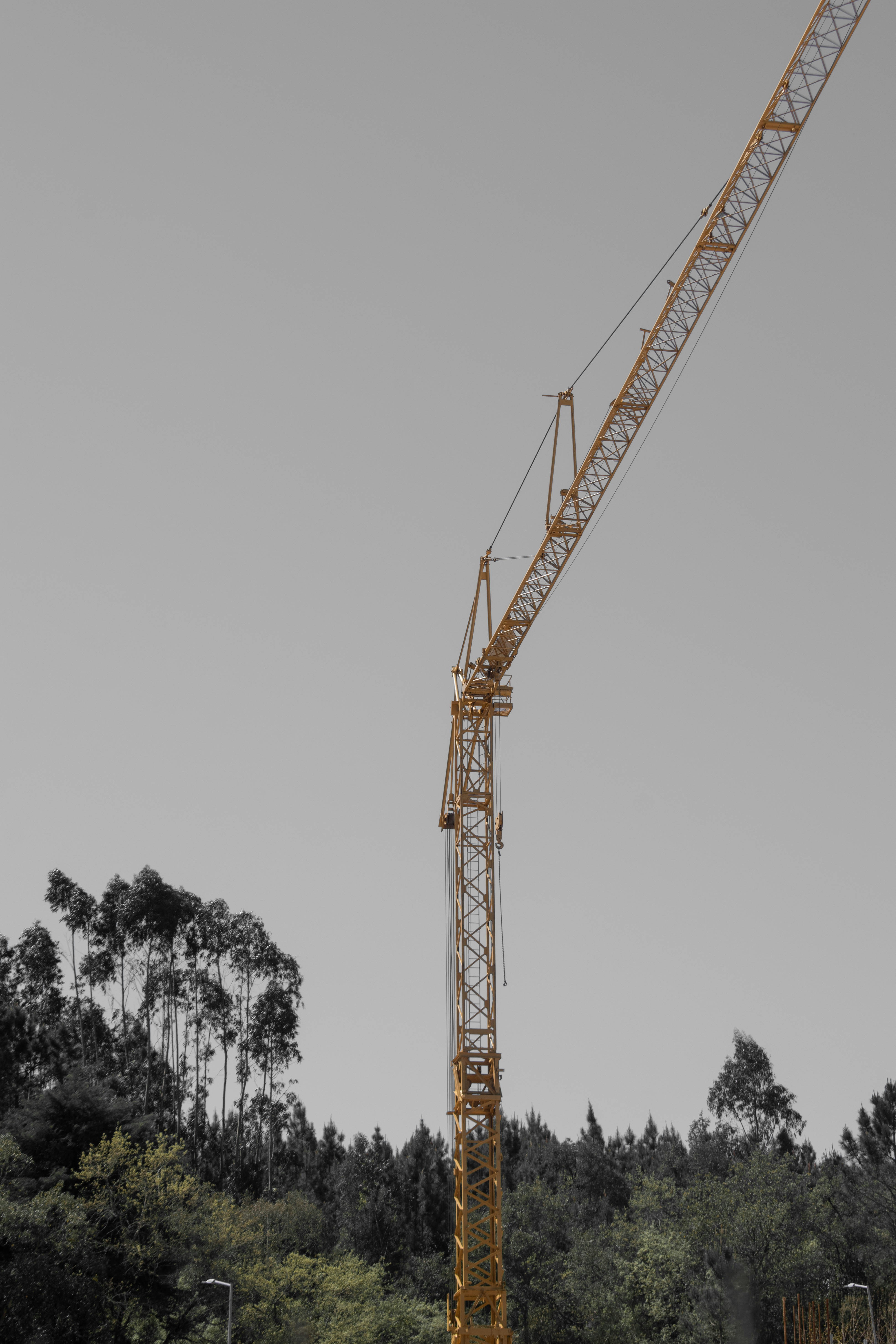Golden Crane Tower Rising Over a Quiet Construction Edge