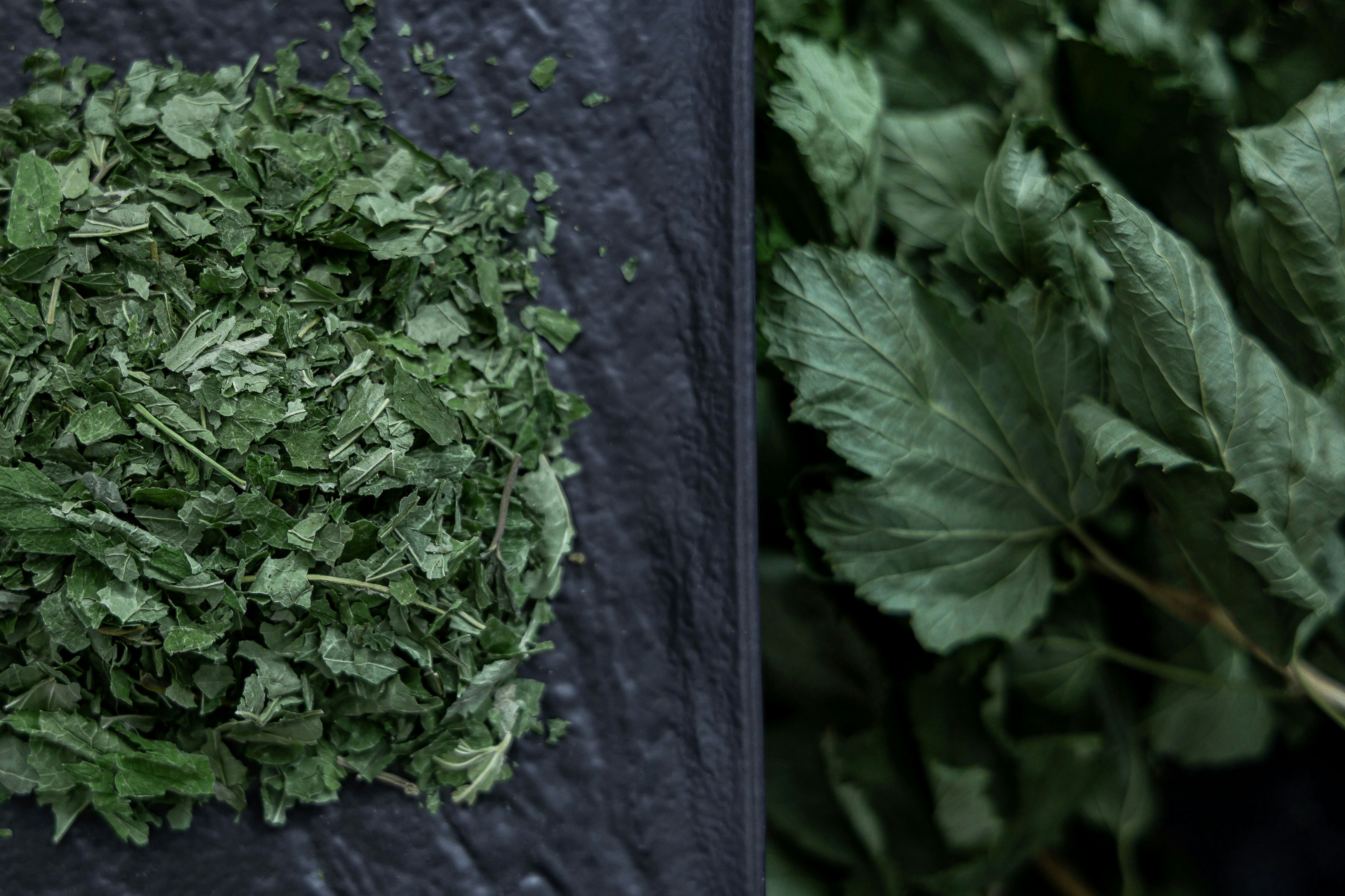 Split Leaf, Split Scene: Fresh Greens on Slate