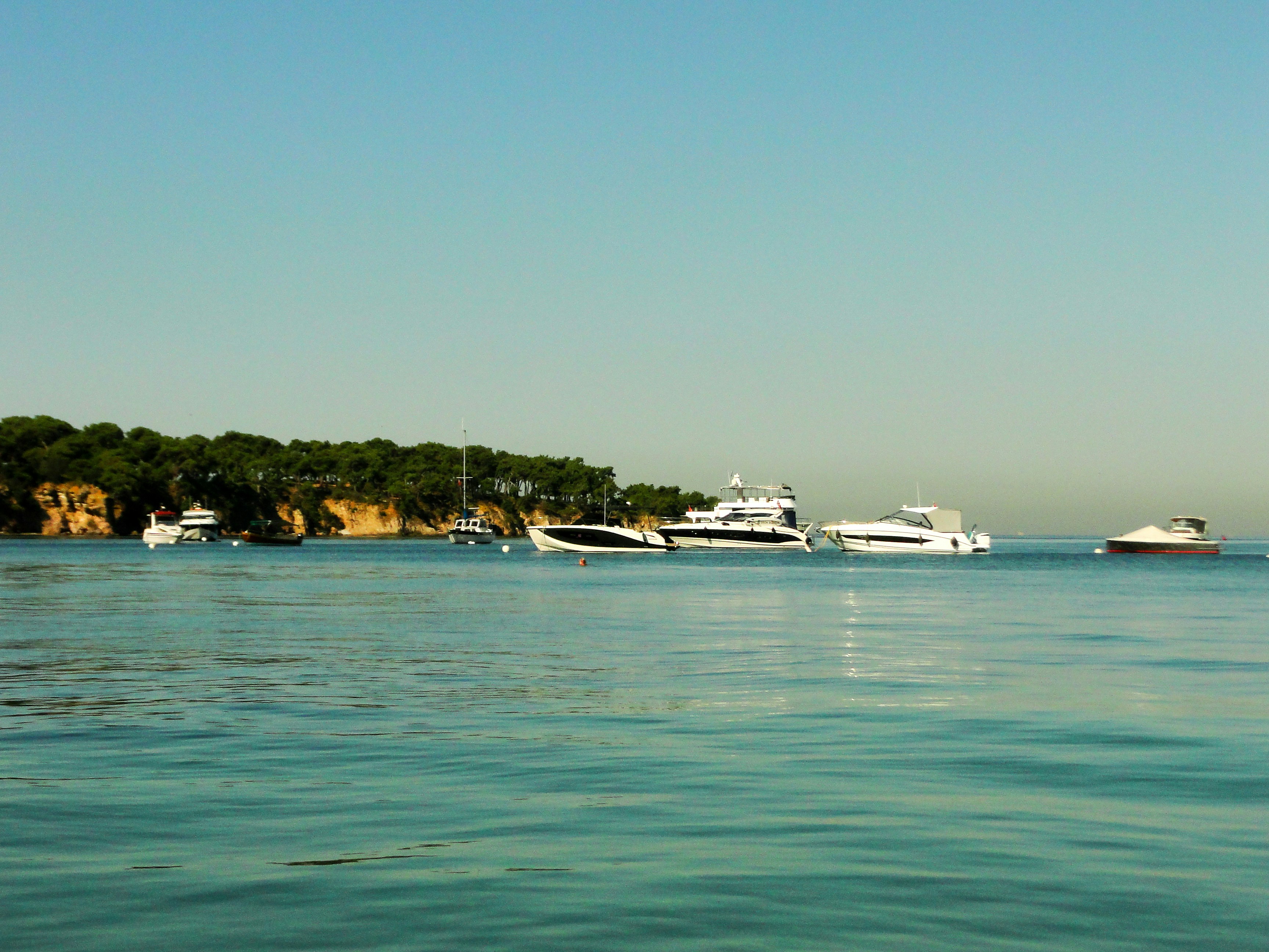 Harbor Parade: Boats Resting on a Calm Aquamarine