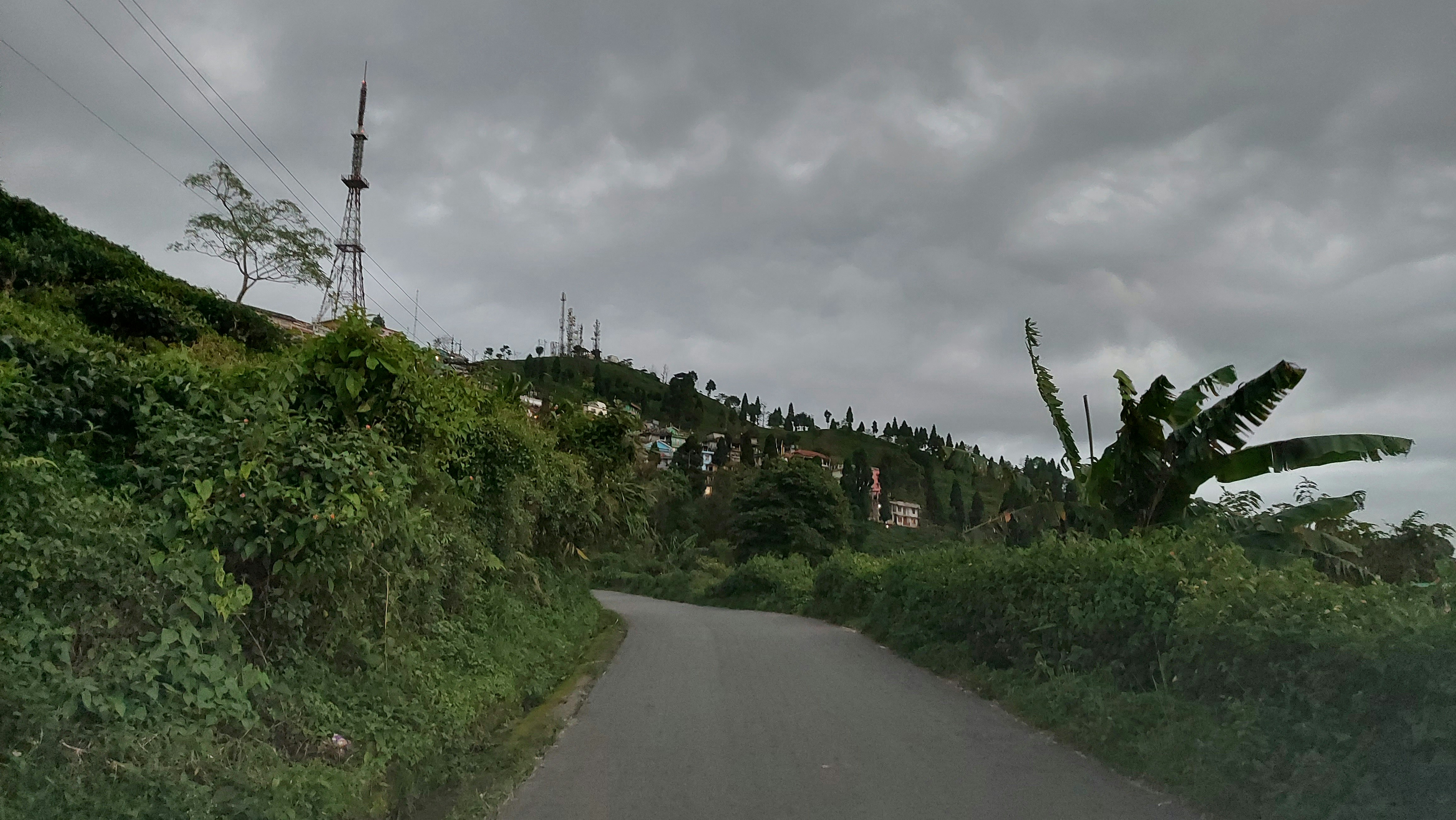 Lane Through Greenery Under Cloudy Skies with Distant Village