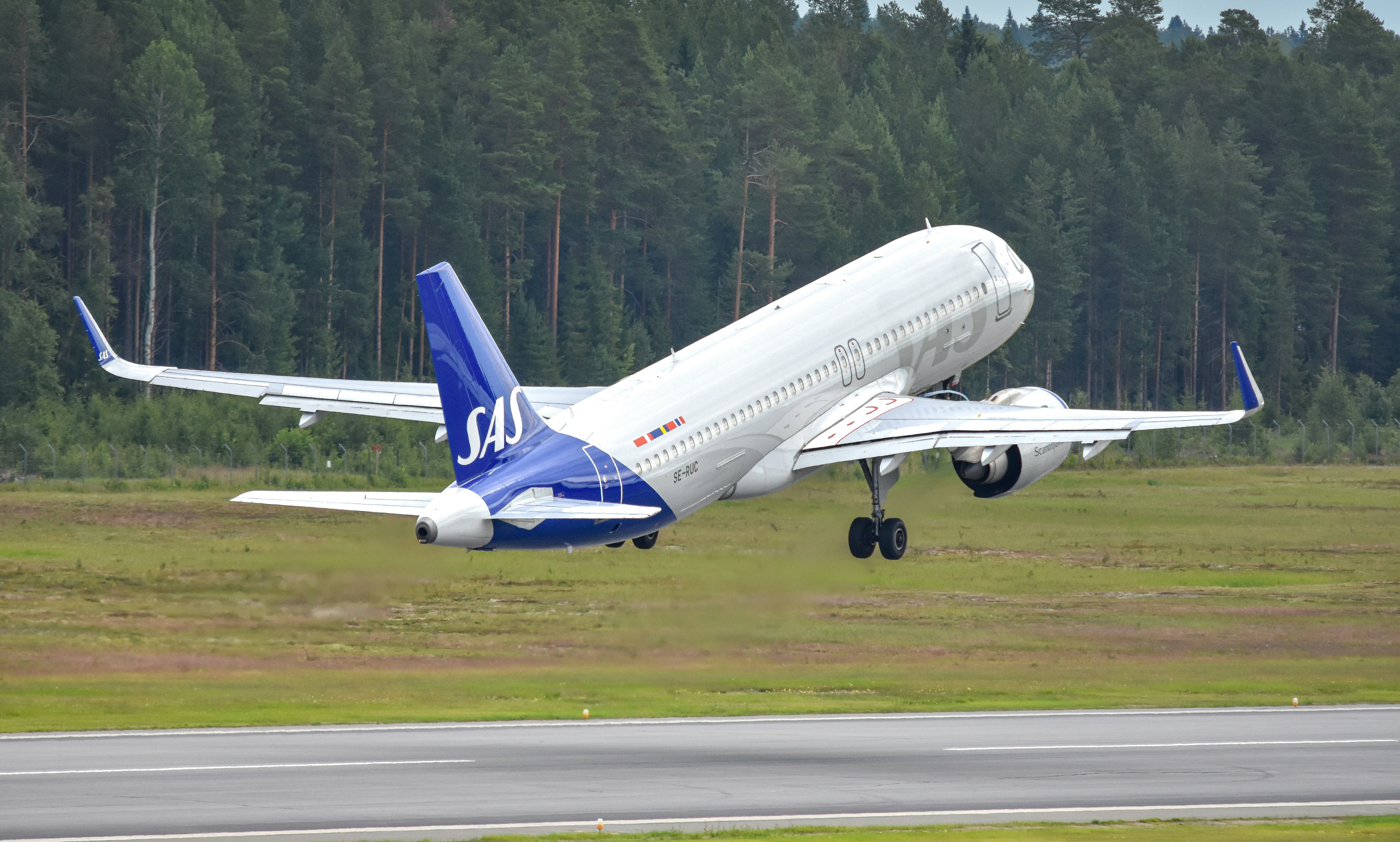 Rising Jet: SAS A320 Escaping the Runway