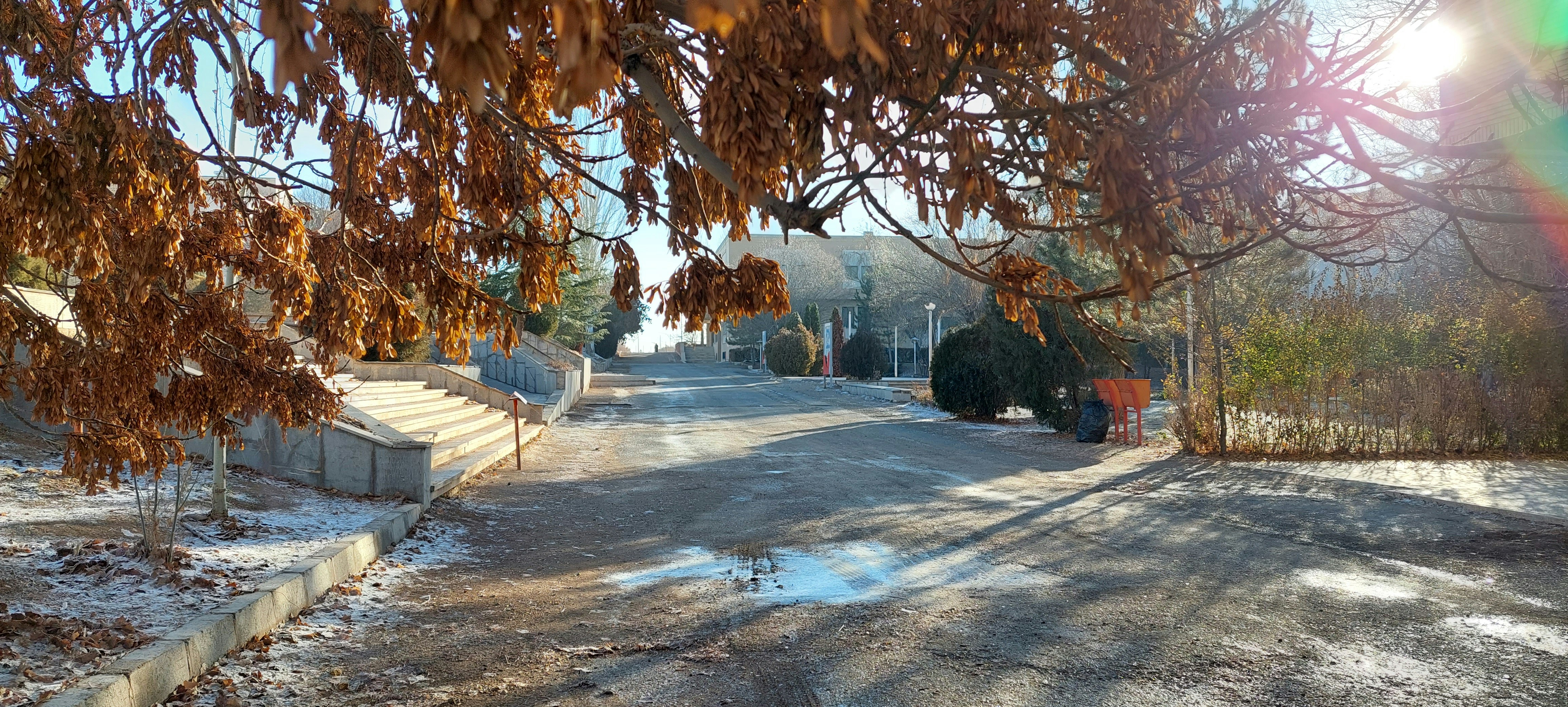Quiet Pathway Through a Frosted Park at Golden Hour
