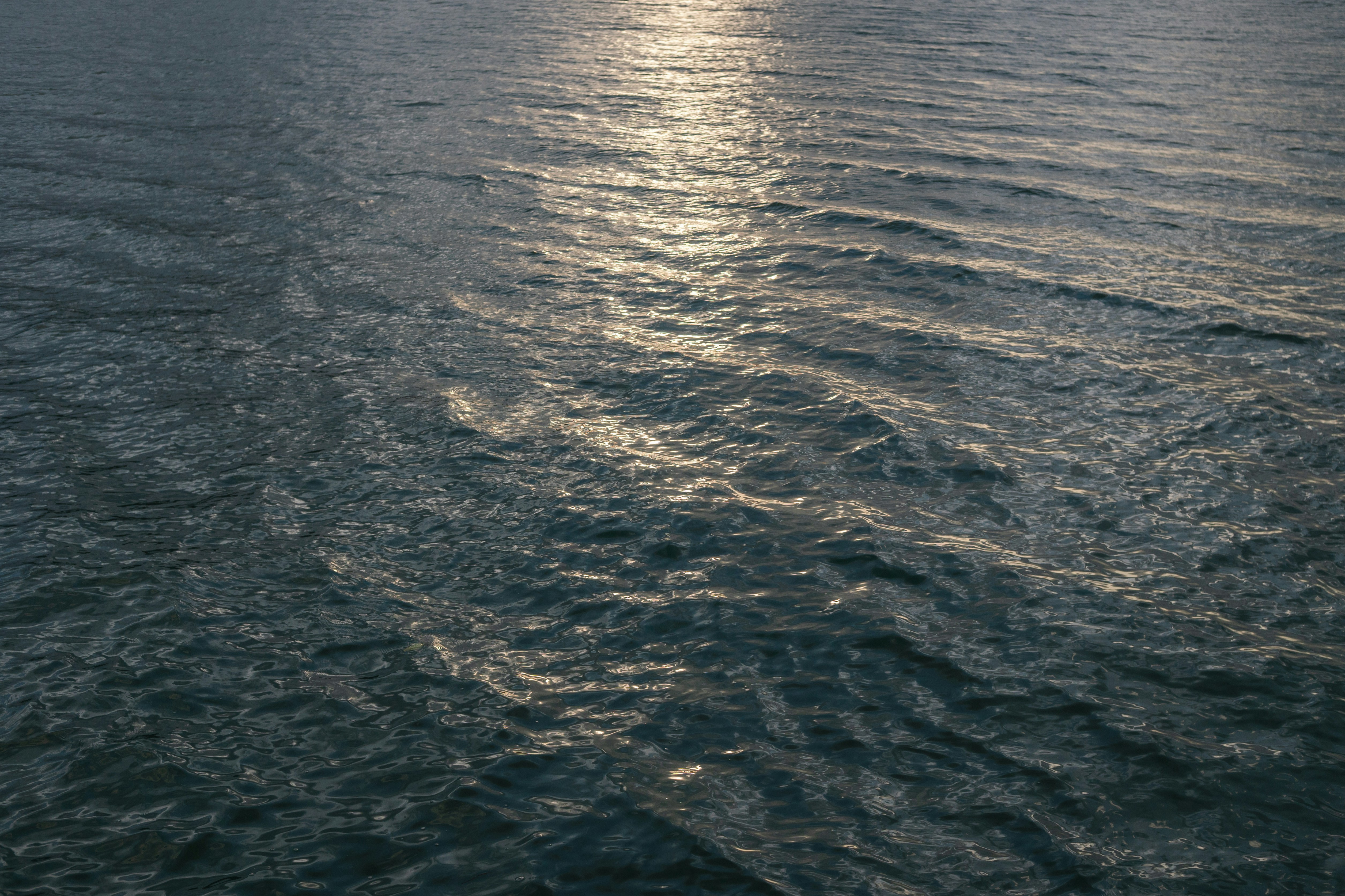 Sunlit Ripples on a Quiet Sea Surface