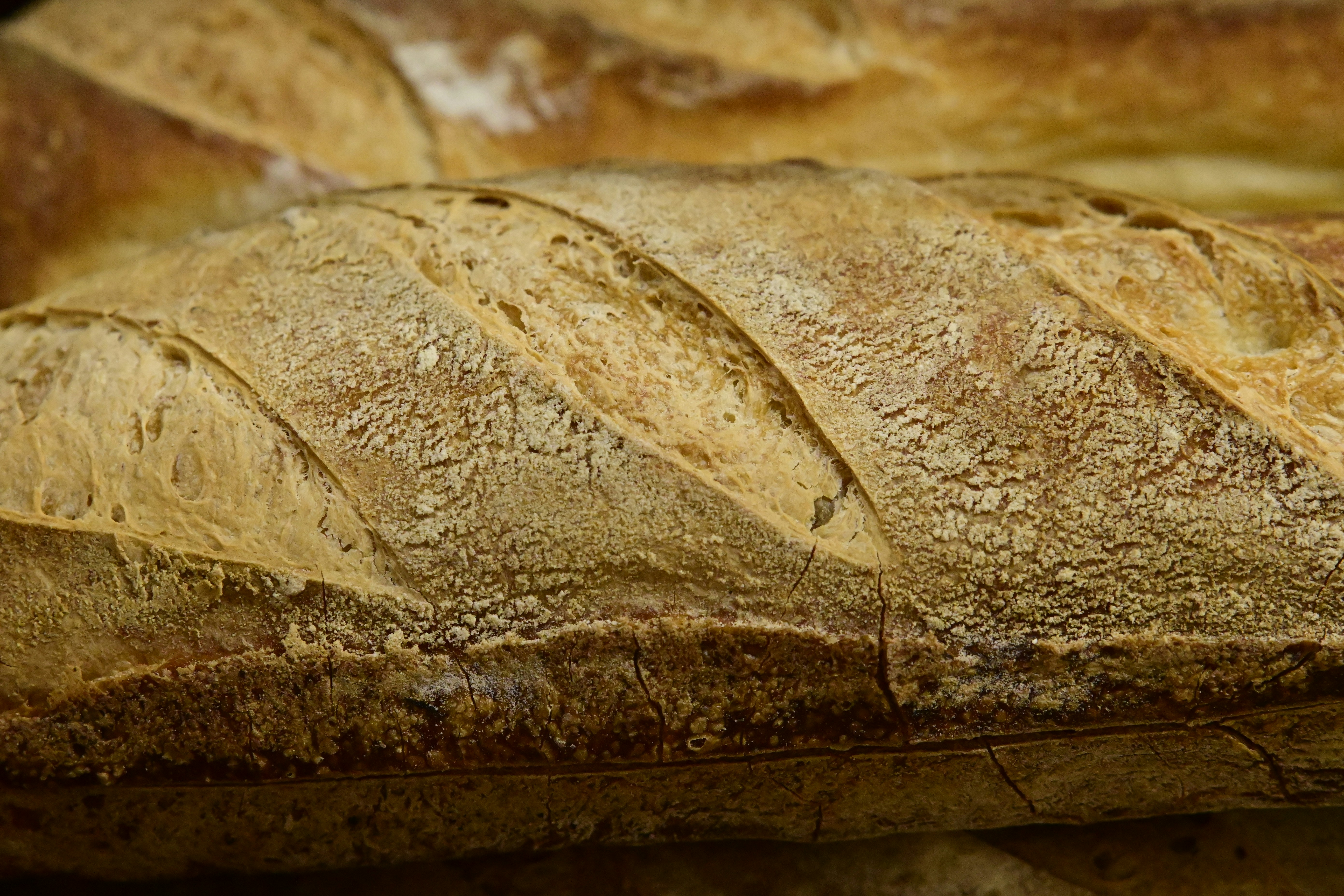 Cracked crusts and carved ridges on a rustic loaf