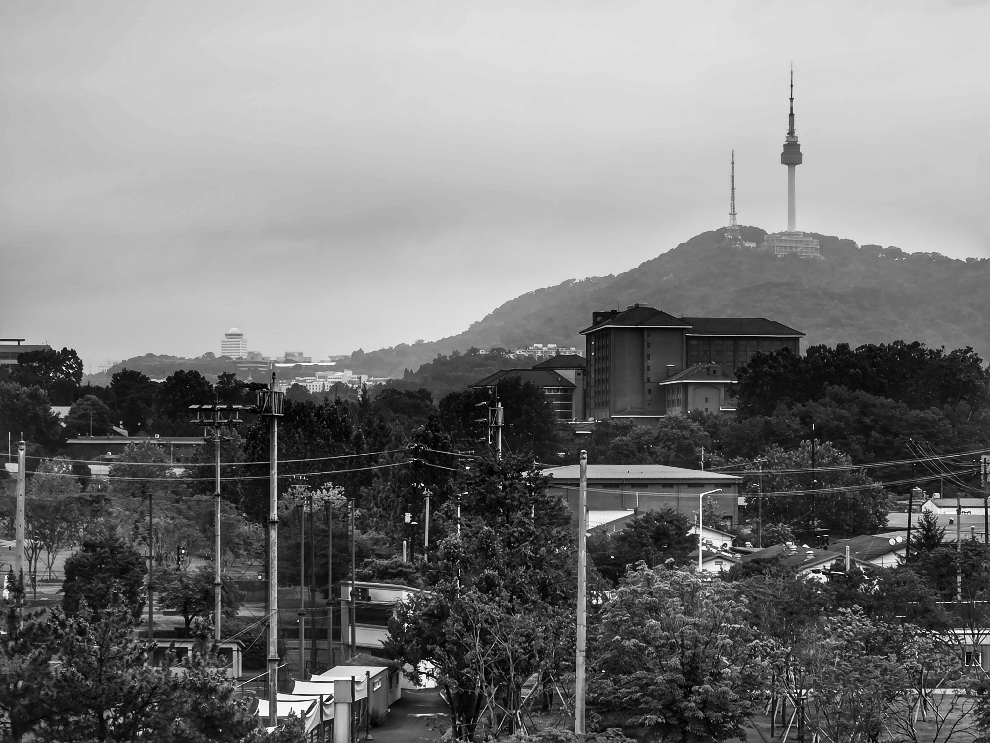 Monochrome cityscape with a distant hill, antenna tower, and low-rise buildings framed by trees and utility poles.
