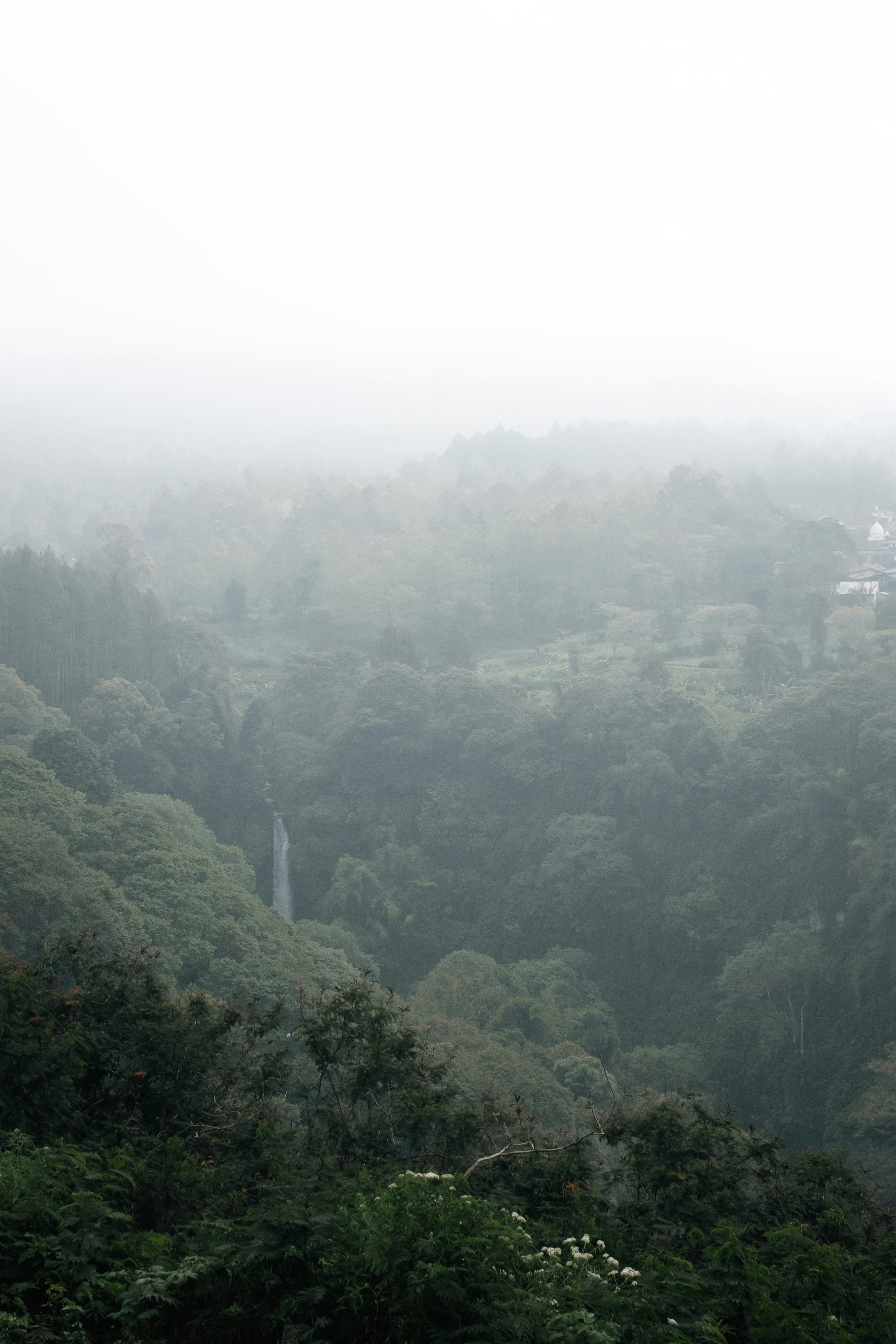 Quiet Valley Veil: A Misty Cascade Over Green Terrains