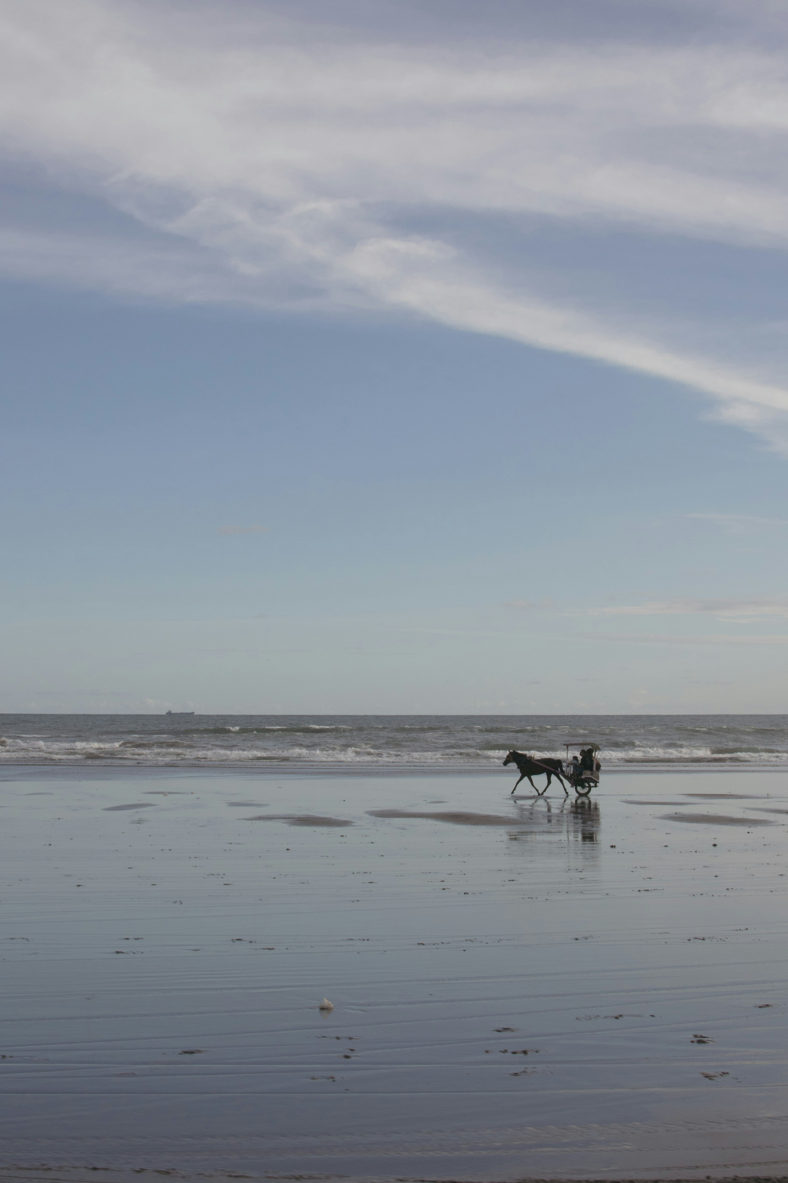 On the Tidal Lane: A Pair of Horses and a Carriage Cross the Quiet Shore