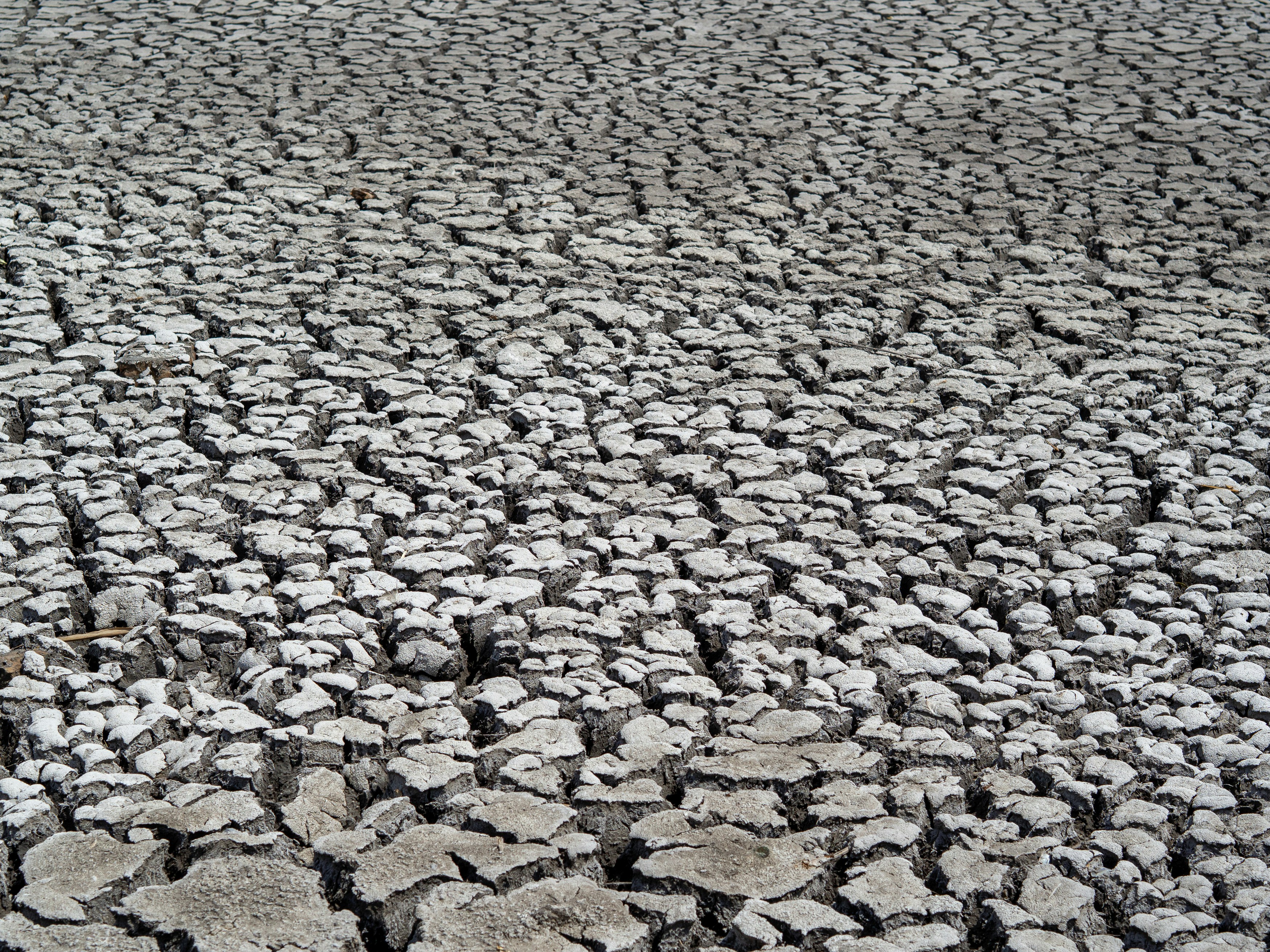 Parched Ground: A Sea of Cracked Earth Reaching Into the Horizon