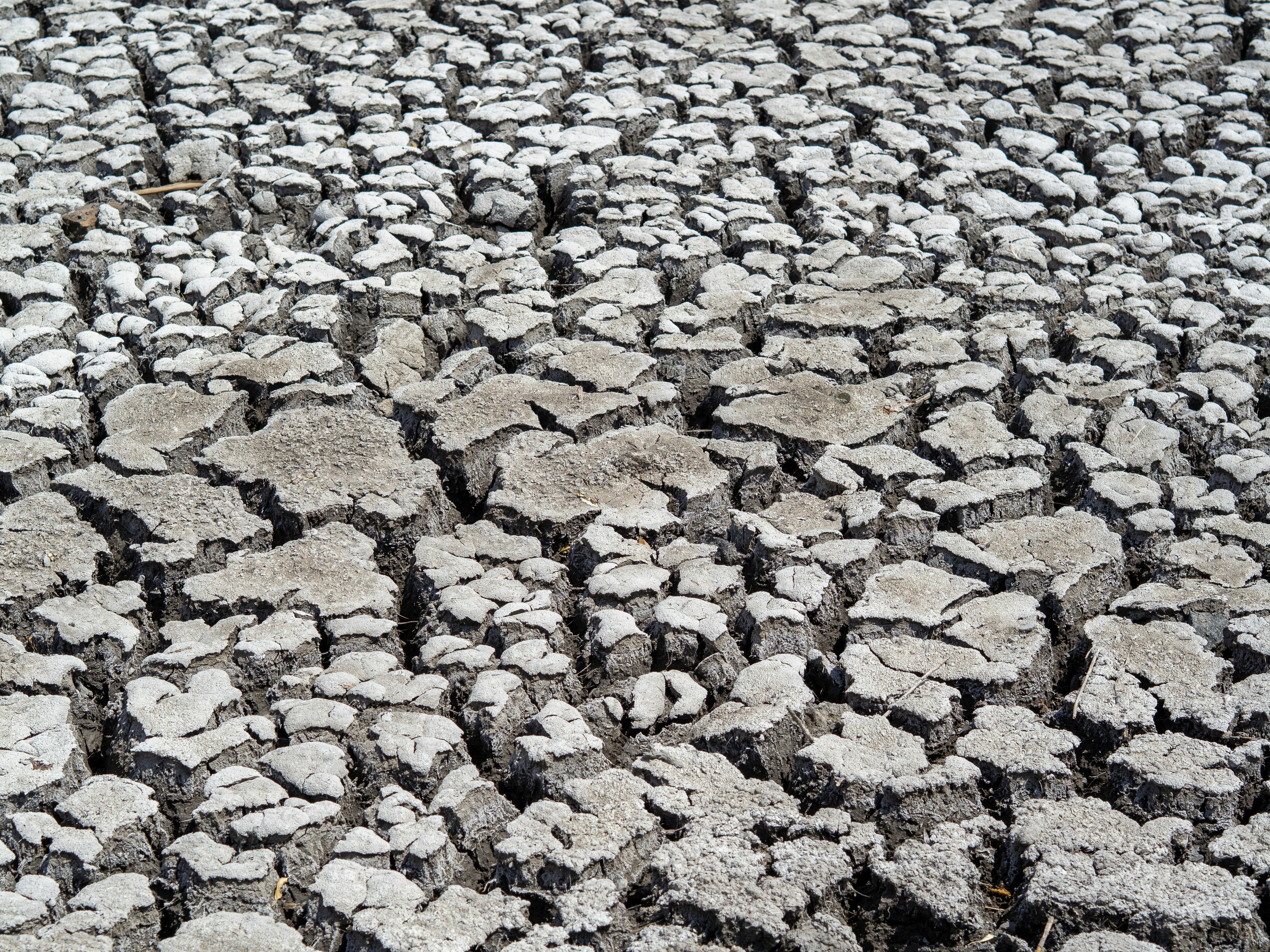 Parched Mosaic: Cracked Earth Stretching to an Empty Horizon