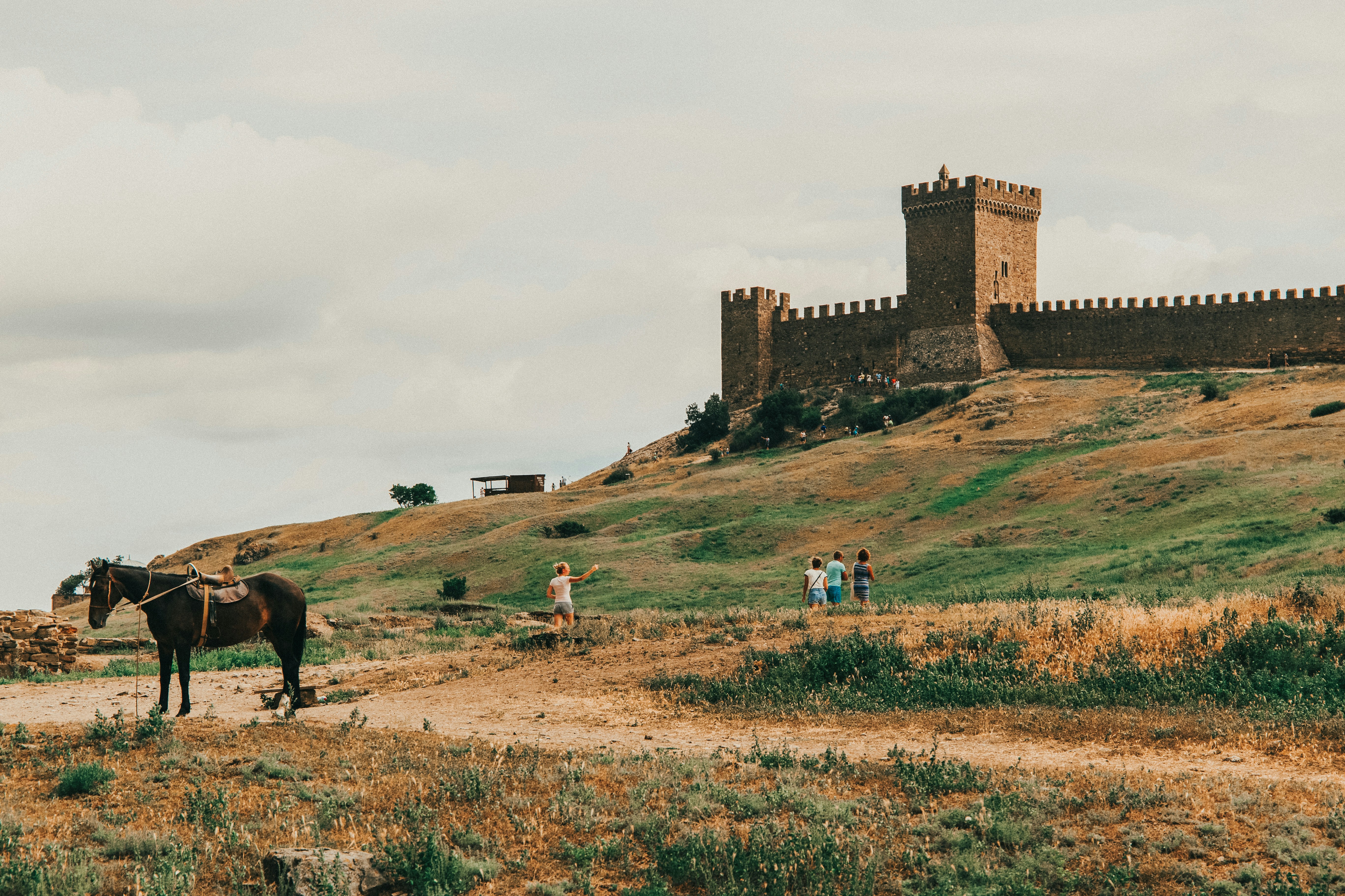 Golden field leading to a historic fortress wall with a lone horse and a small group of visitors in the foreground.