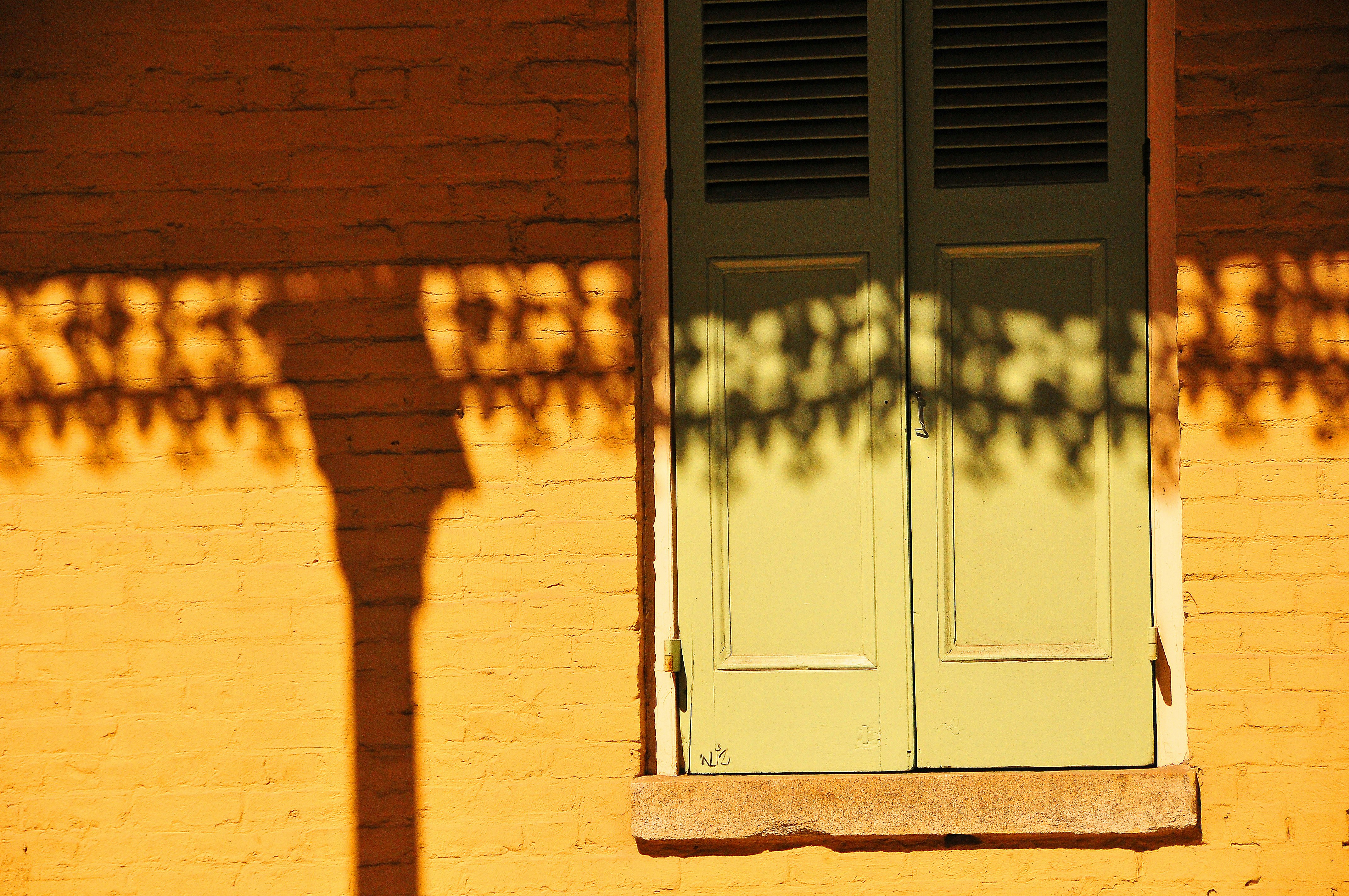 Muted Sunlight on a Yellow Doorscape