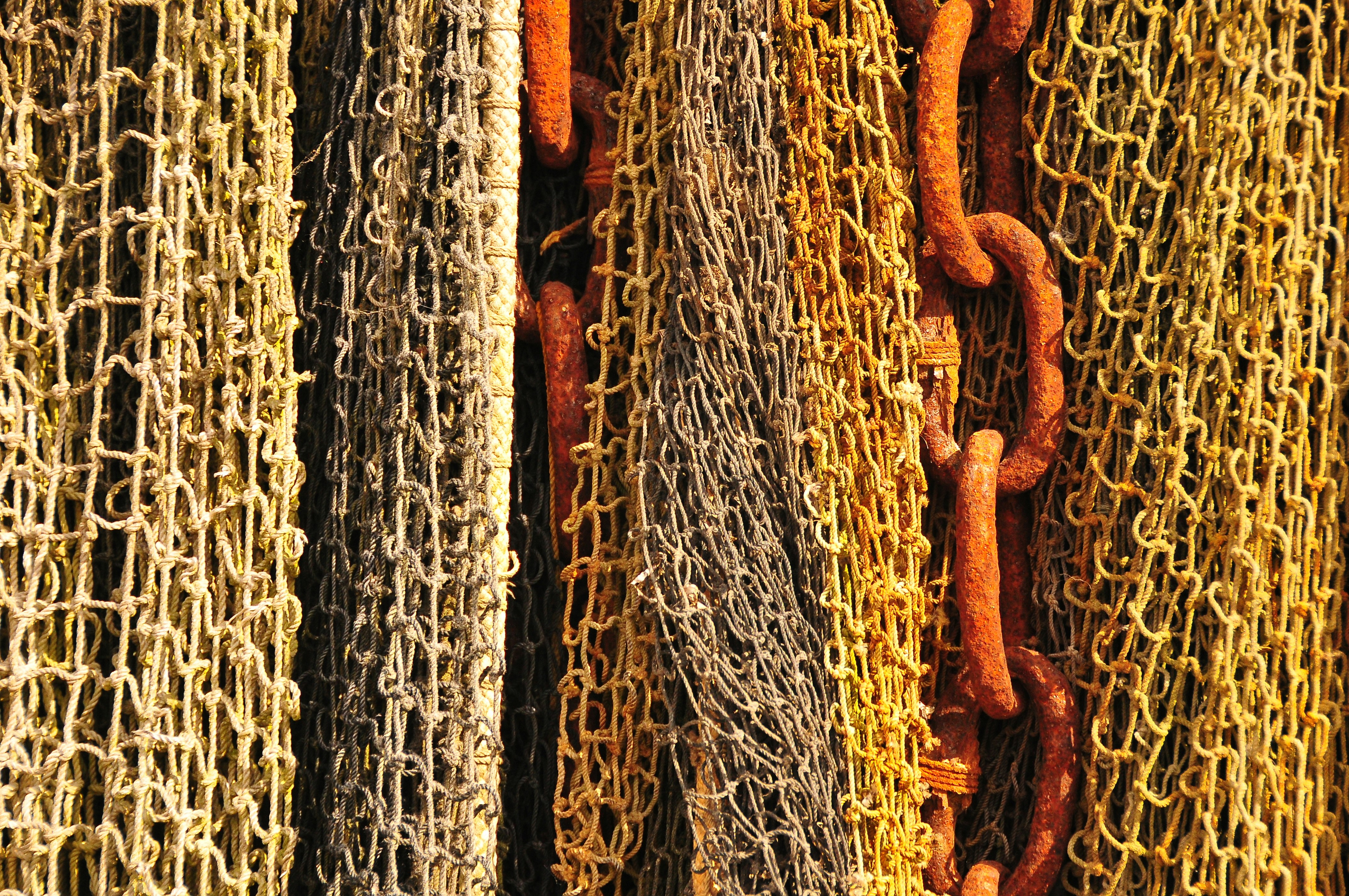 Tangled Threads of Rust and Light