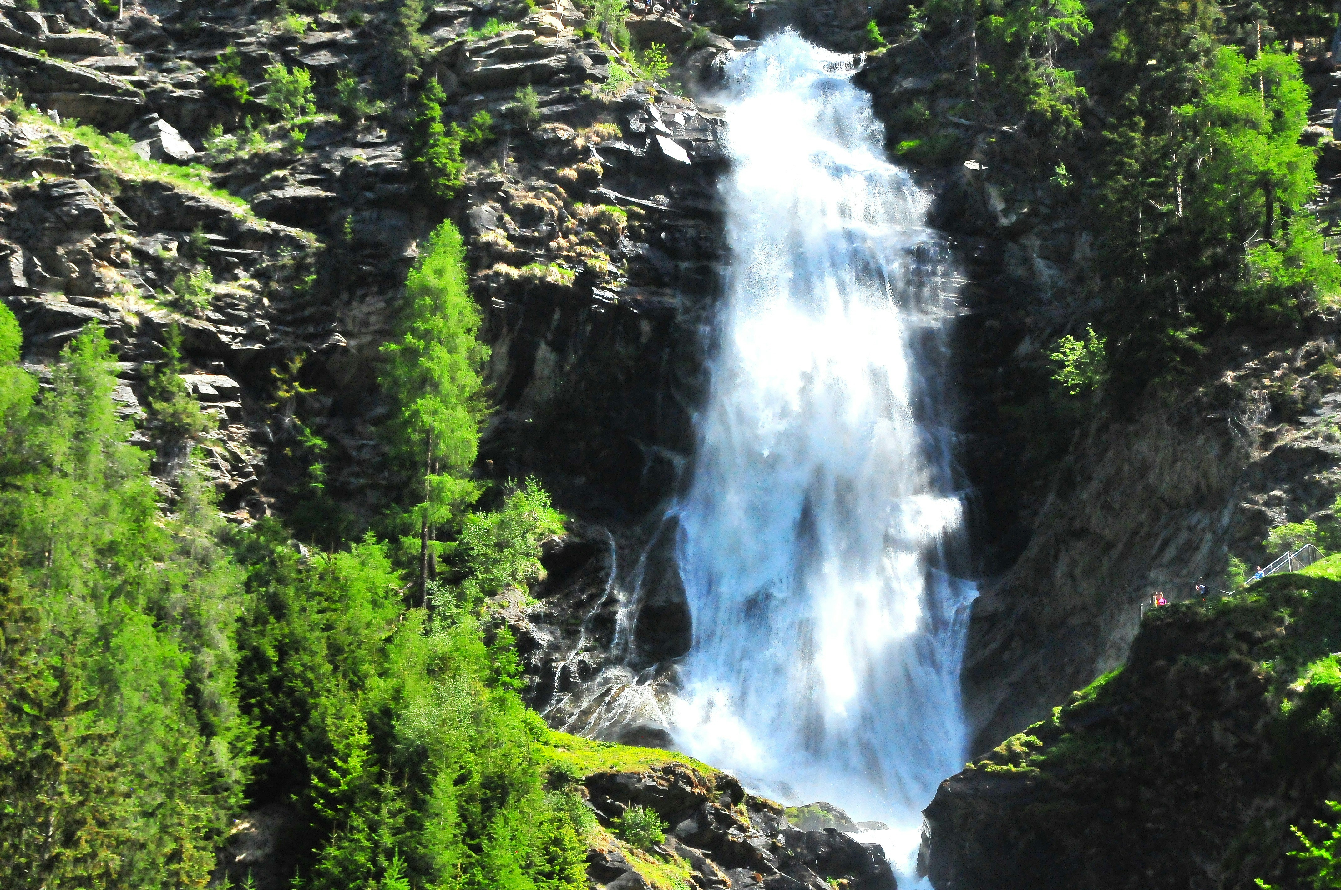 Cascading Veil: A Forest Waterfall Bursting Through Rock